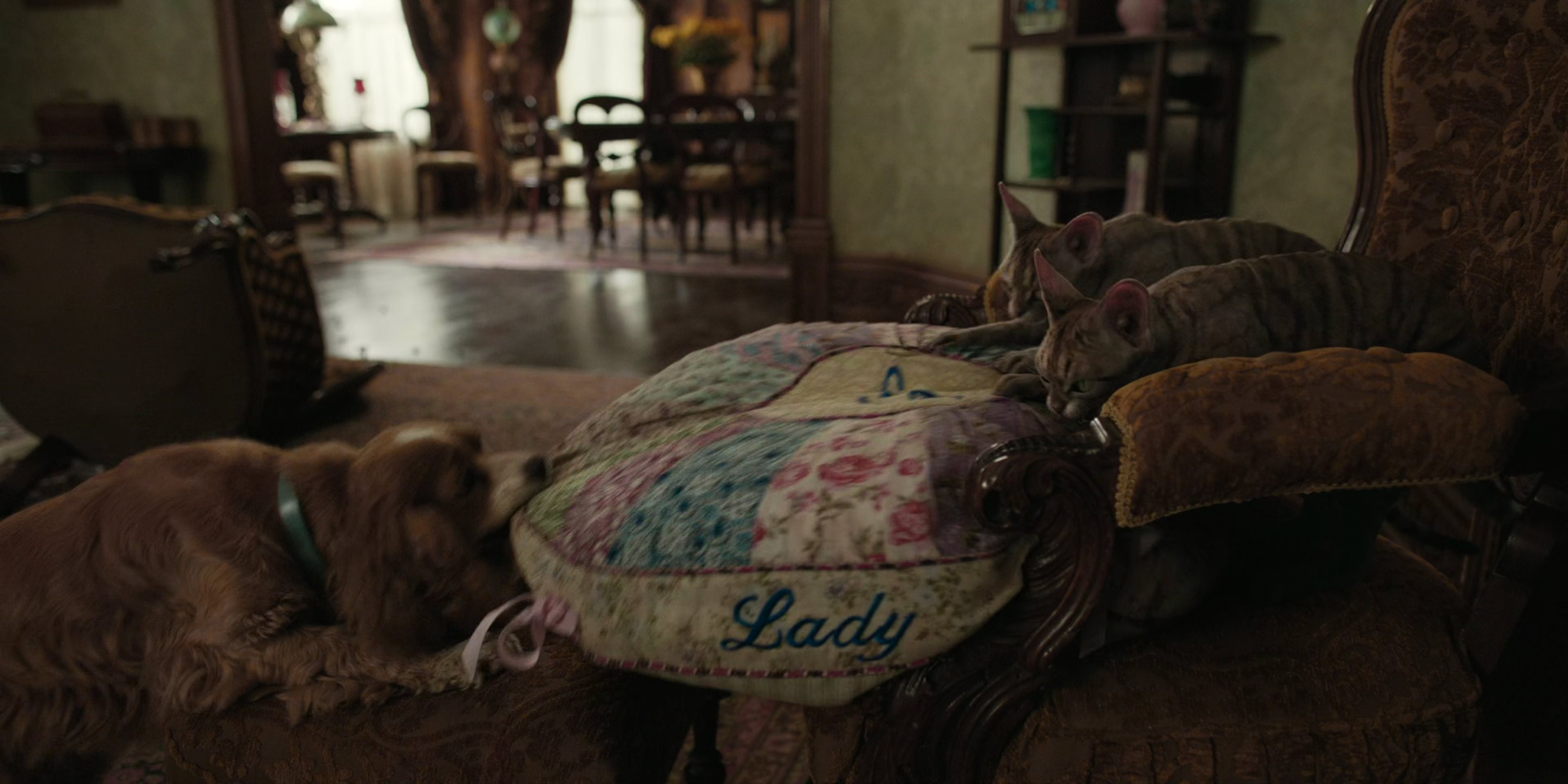 Lady and the Tramp (2019) [4K] - Animation Screencaps.com