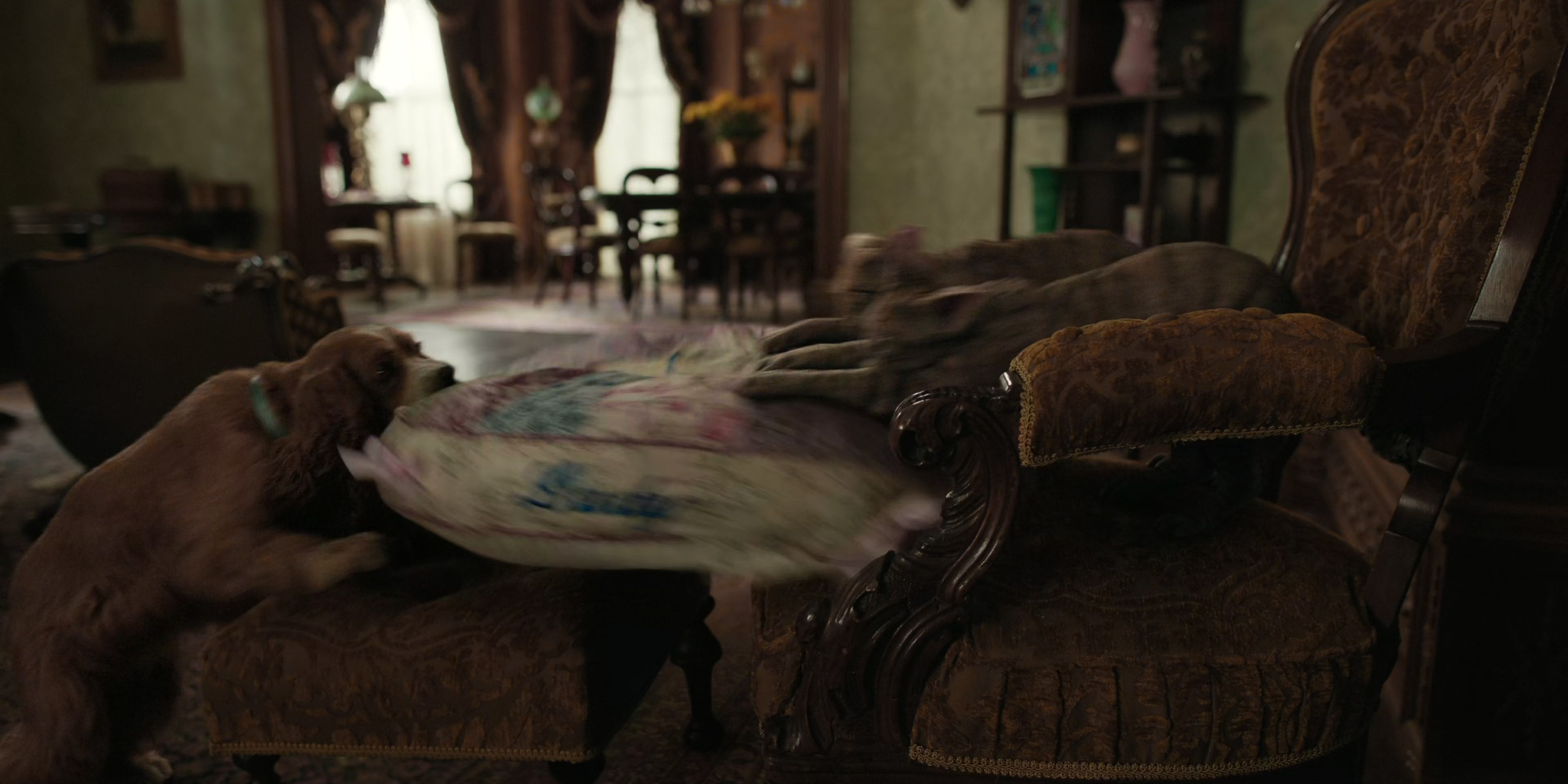 Lady and the Tramp (2019) [4K] - Animation Screencaps.com