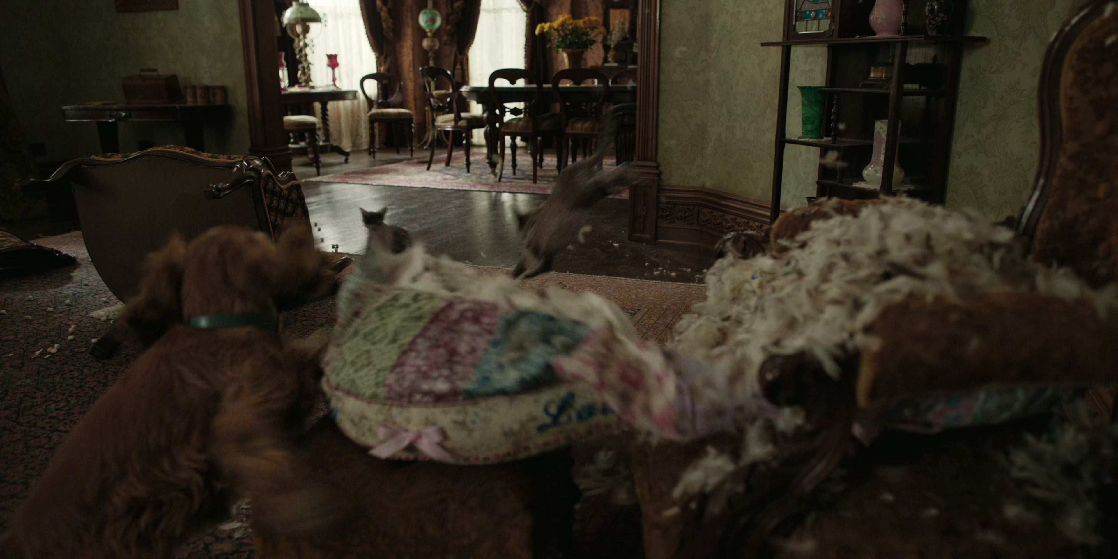 Lady and the Tramp (2019) [4K] - Animation Screencaps.com