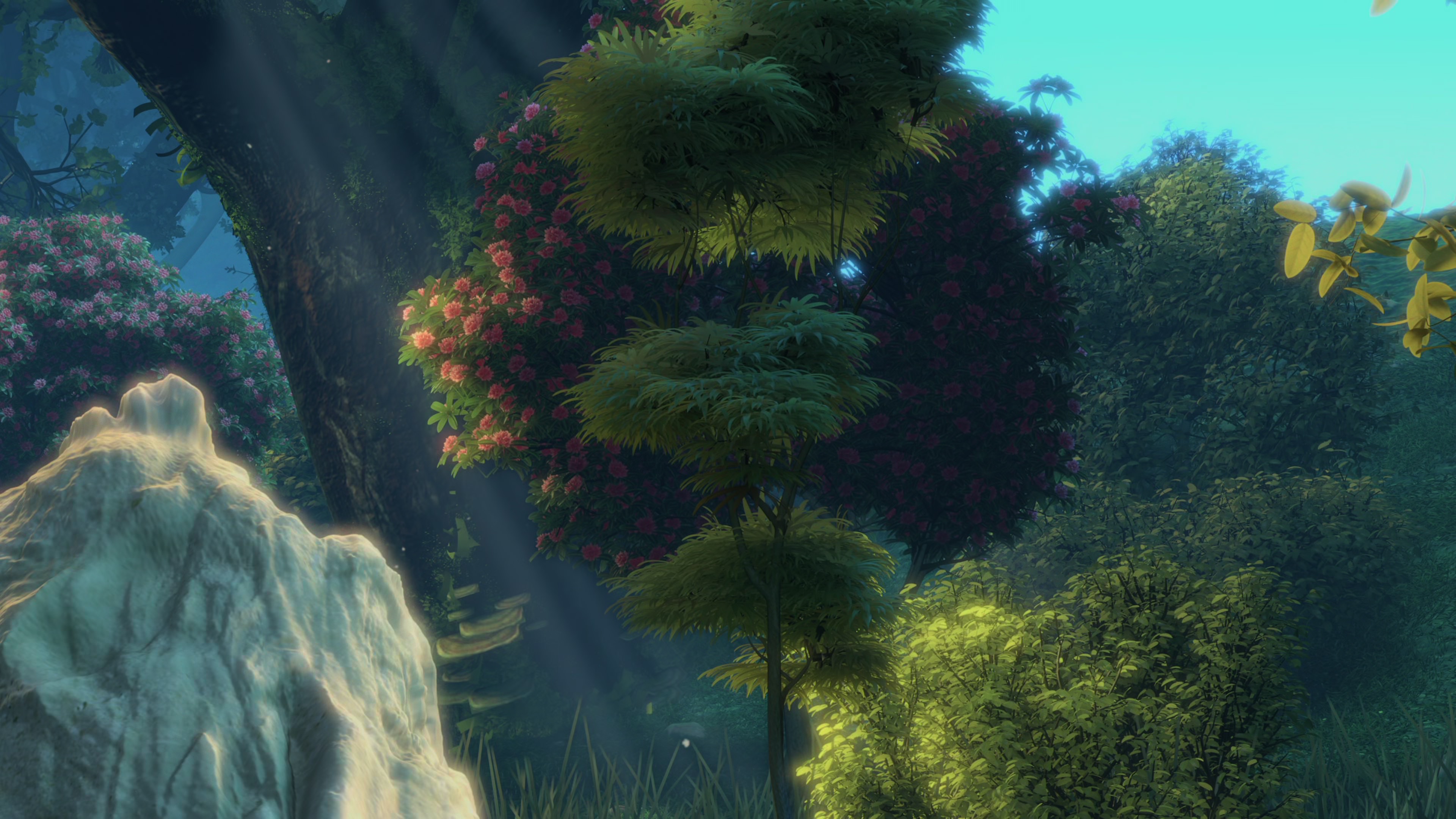 Tangled (2010) [4K] - Animation Screencaps.com