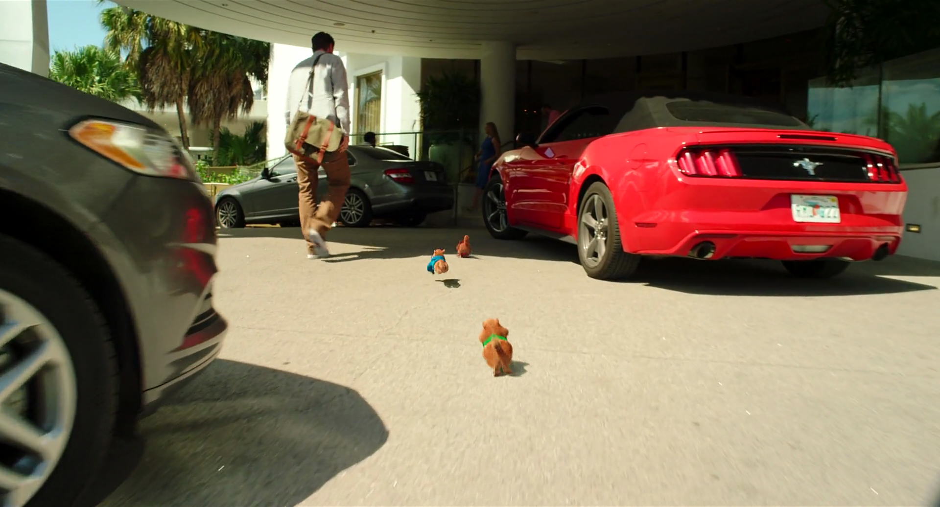 Alvin and the Chipmunks: The Road Chip (2015) - Animation Screencaps.com