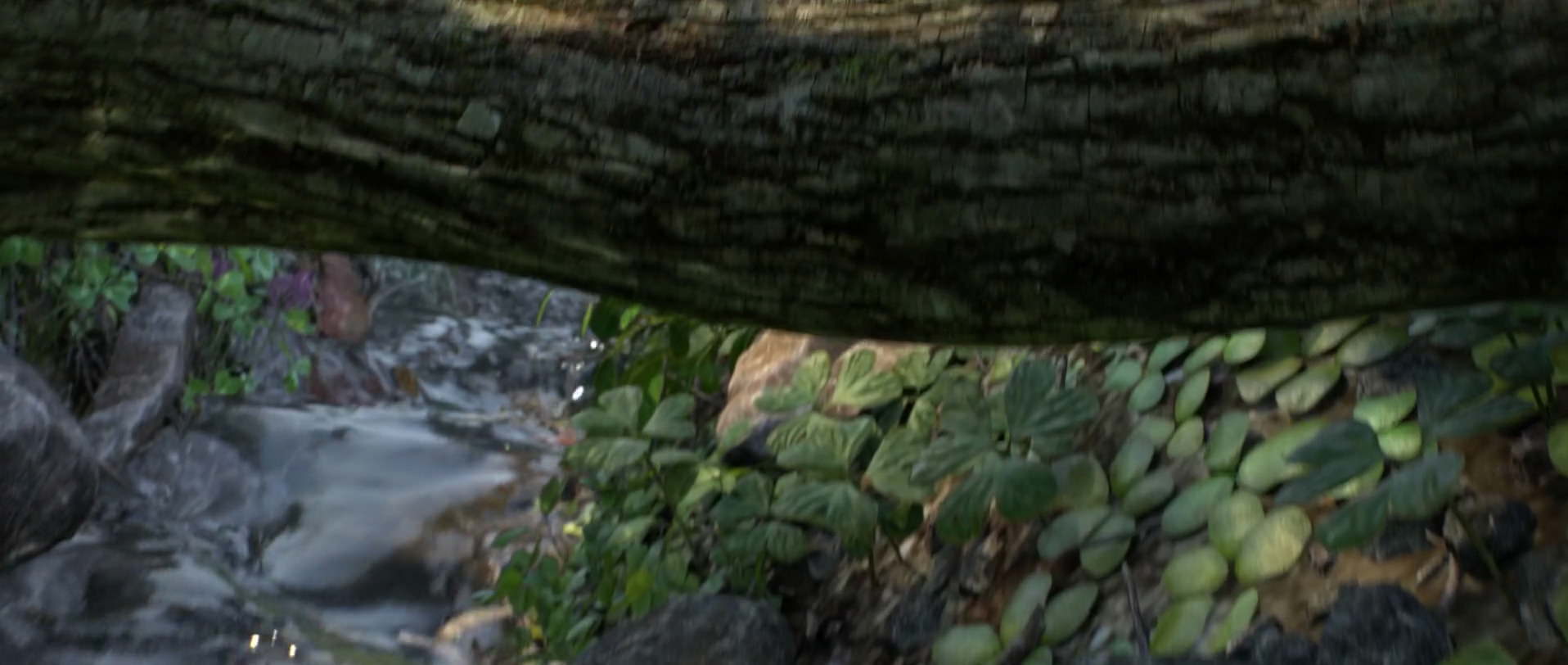 Strange Magic (2015) - Animation Screencaps.com