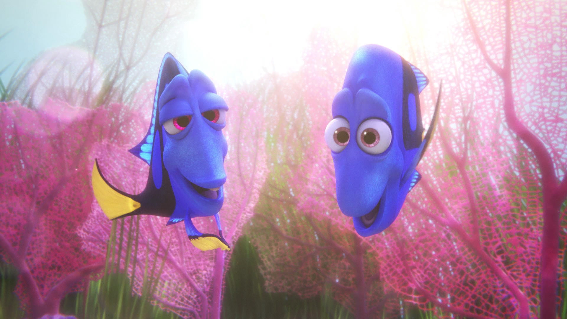 Finding Dory (2016) - Animation Screencaps.com