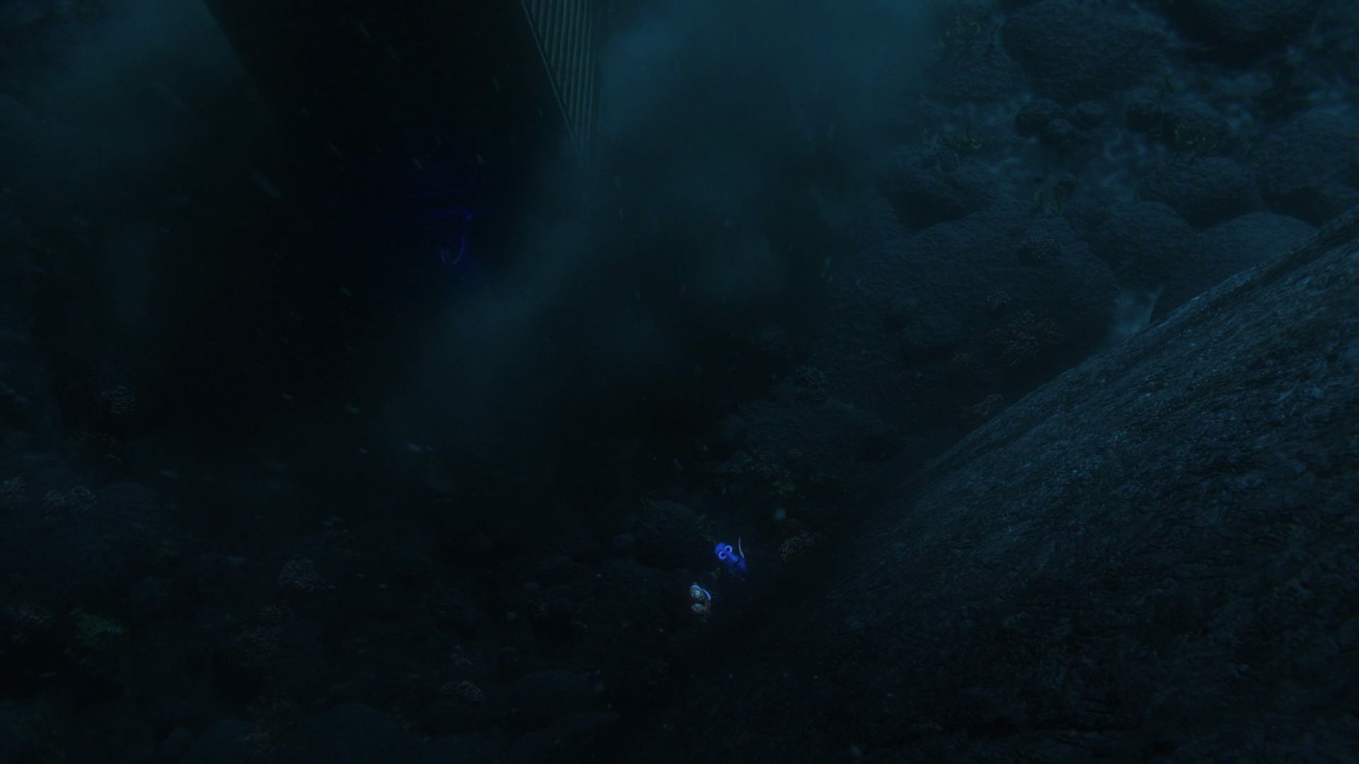 Finding Dory (2016) - Animation Screencaps.com