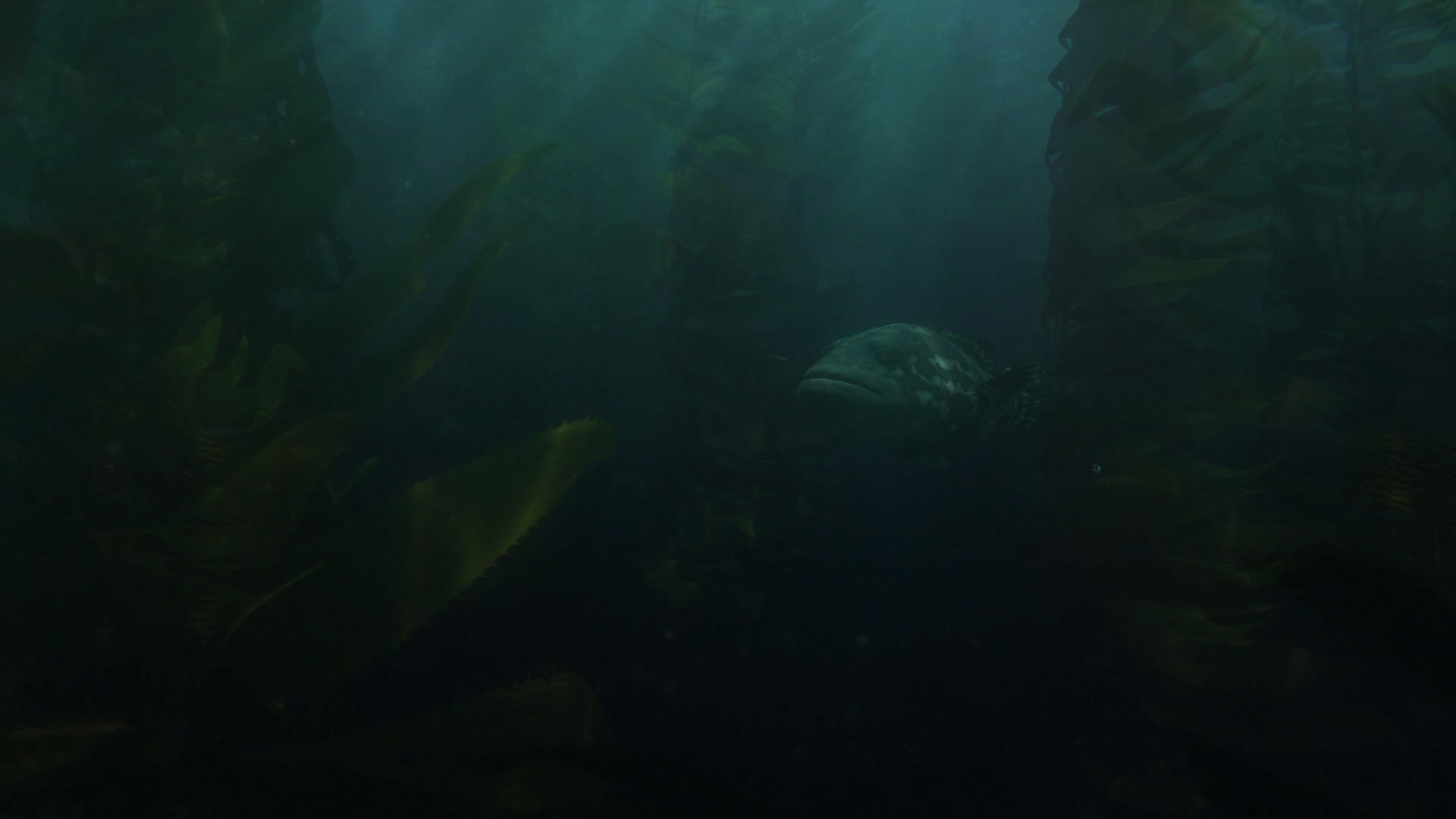 Finding Dory (2016) - Animation Screencaps.com