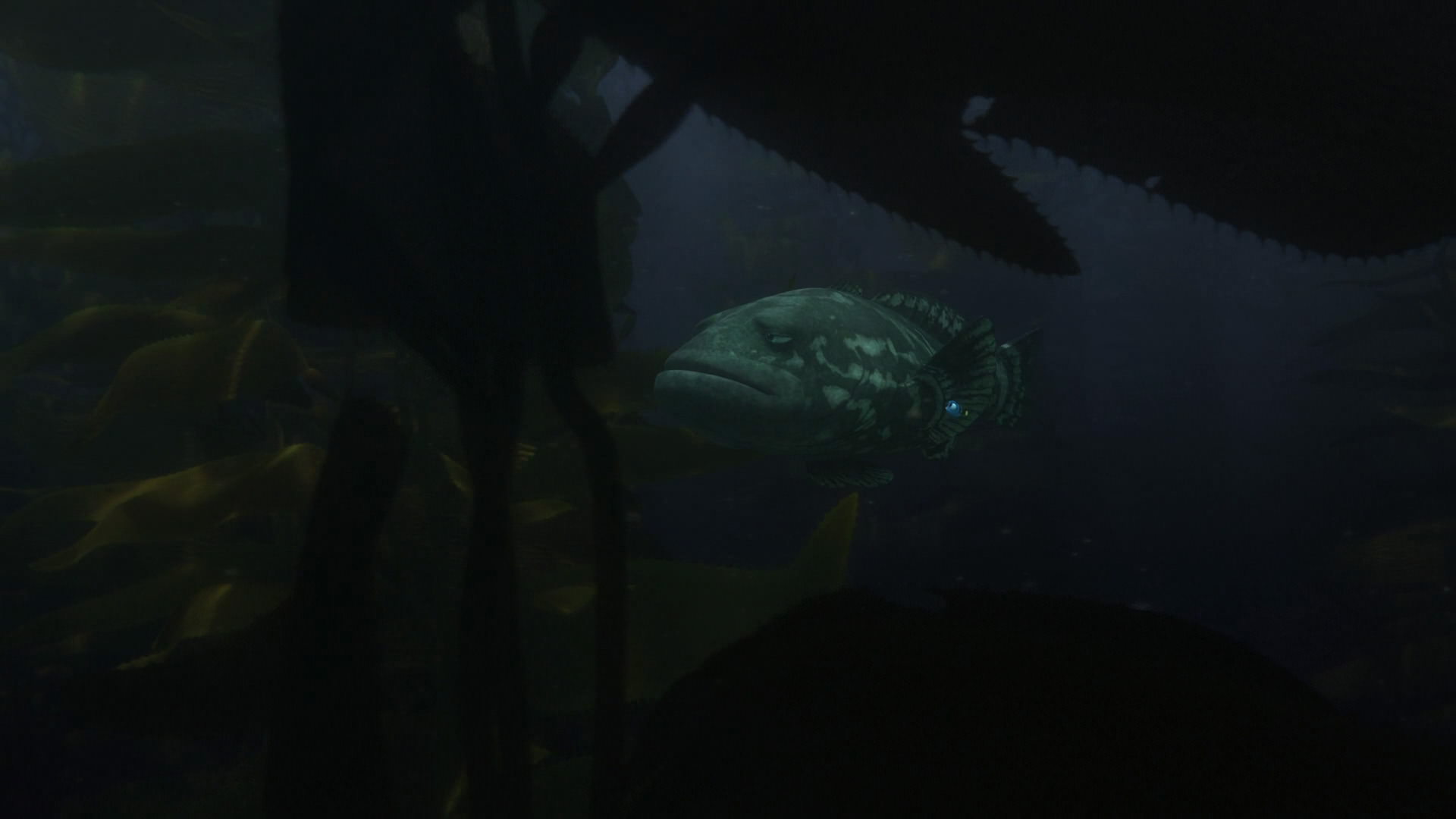 Finding Dory (2016) - Animation Screencaps.com