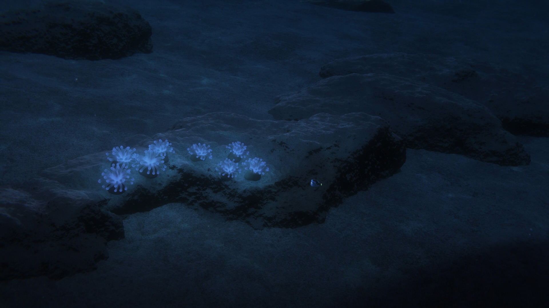 Finding Dory (2016) - Animation Screencaps.com