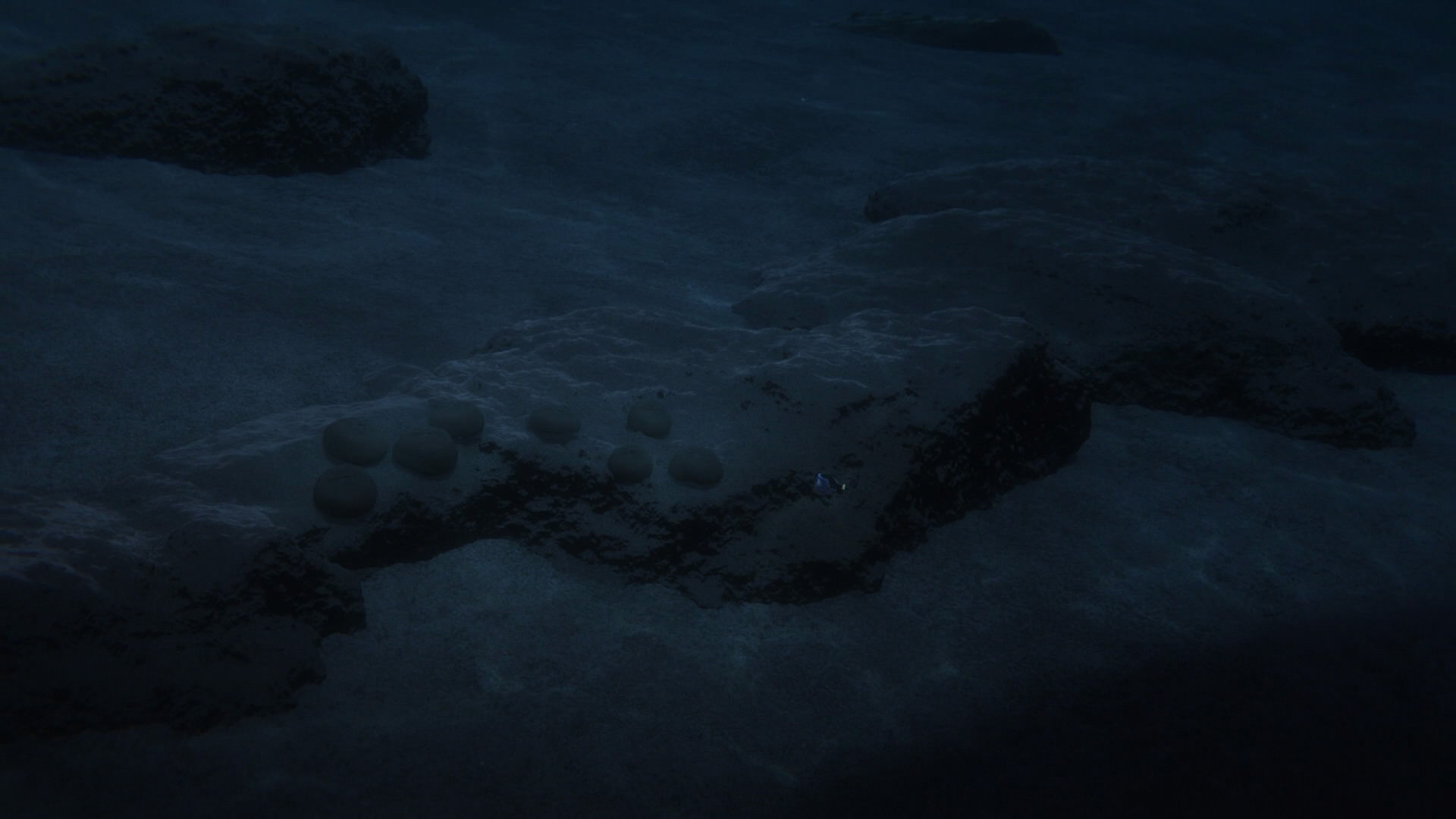 Finding Dory (2016) - Animation Screencaps.com