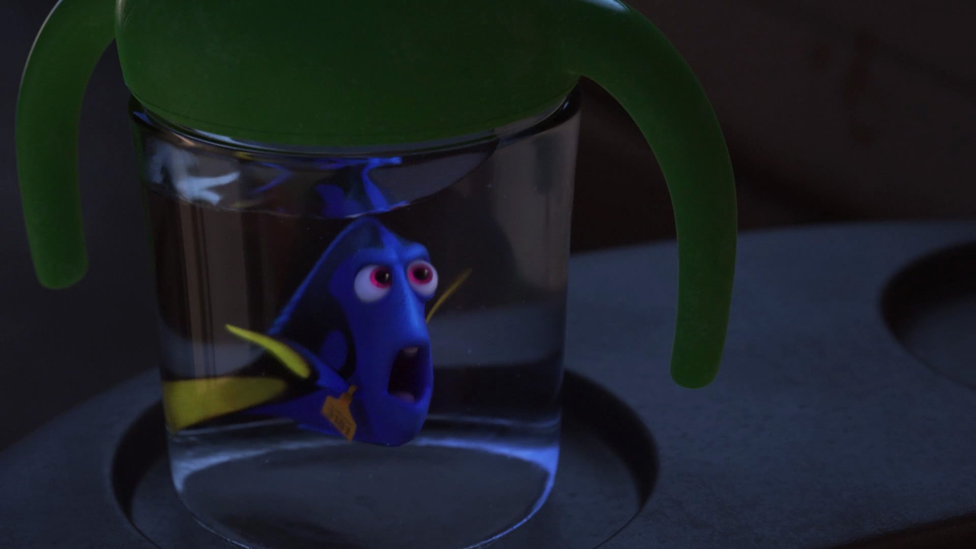 Finding Dory (2016) - Animation Screencaps.com