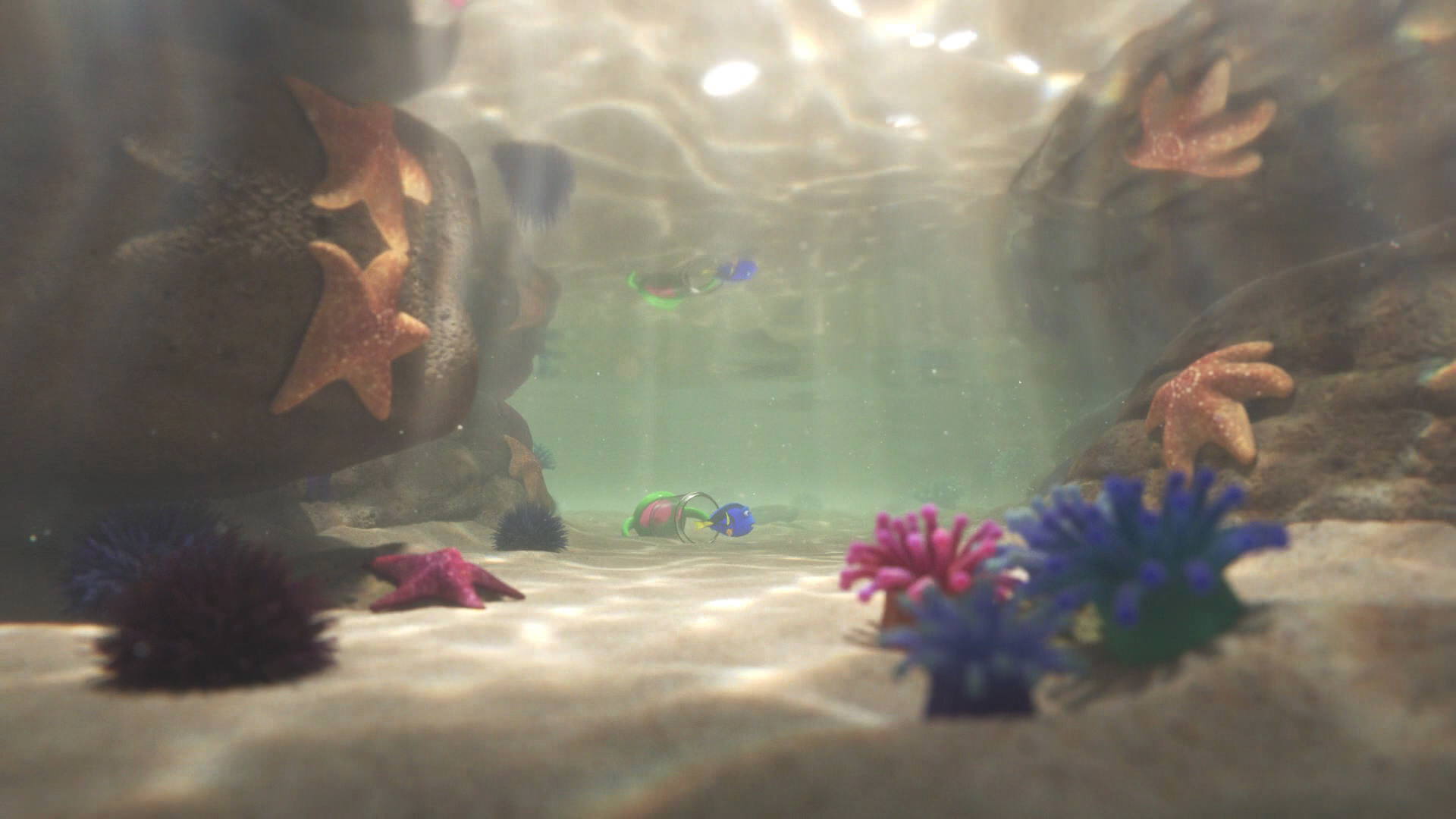 Finding Dory (2016) - Animation Screencaps.com