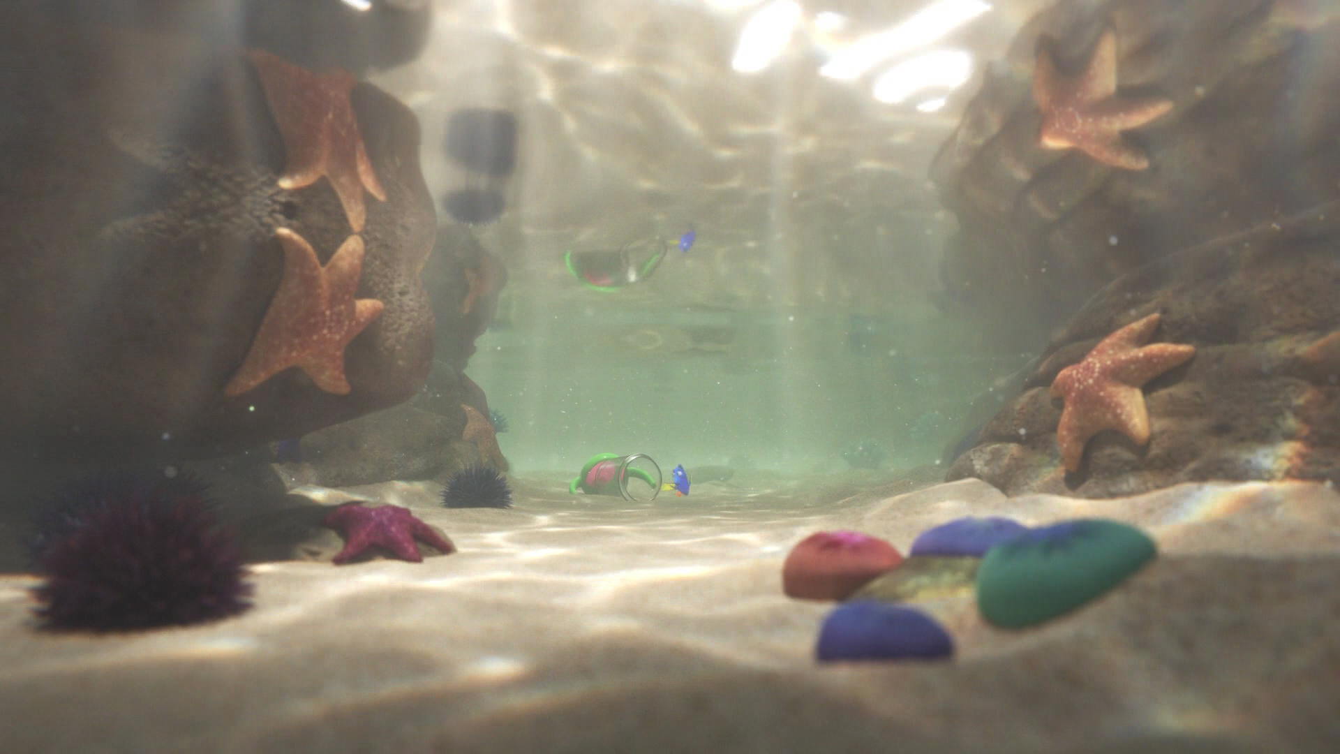 Finding Dory (2016) - Animation Screencaps.com