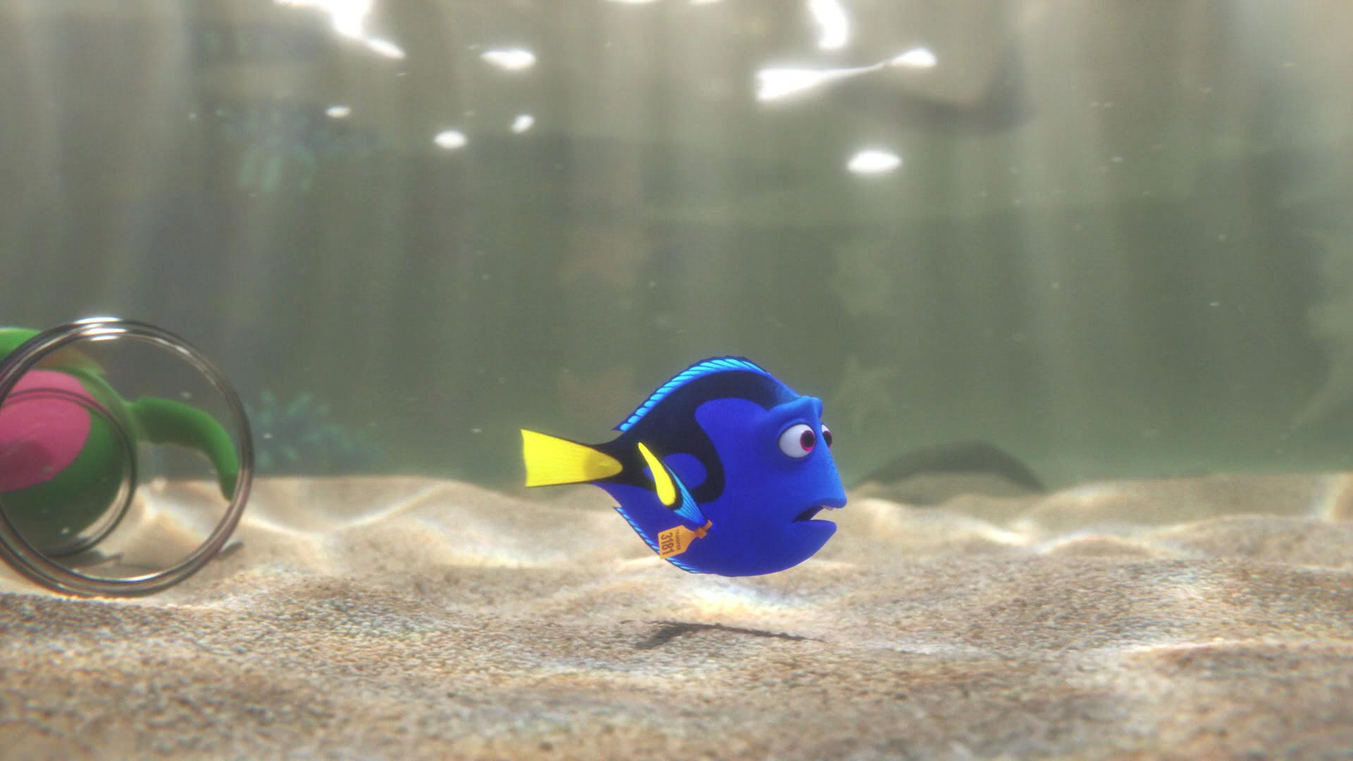 Finding Dory (2016) - Animation Screencaps.com