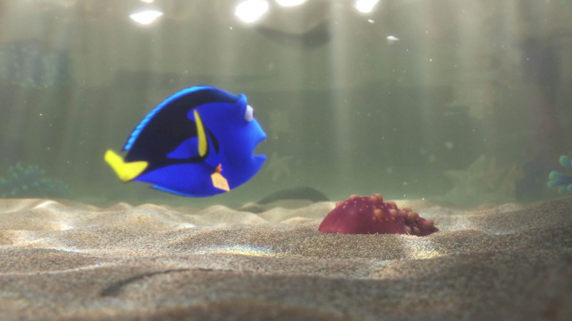 Finding Dory (2016) - Animation Screencaps.com