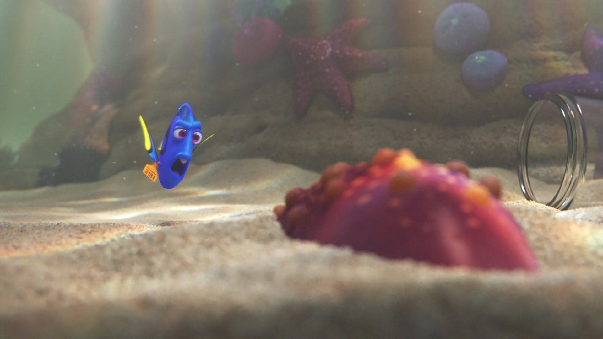 Finding Dory (2016) - Animation Screencaps.com