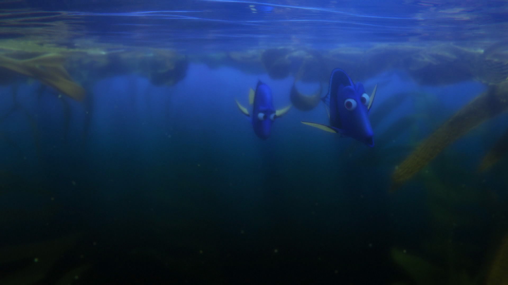 Finding Dory (2016) - Animation Screencaps.com