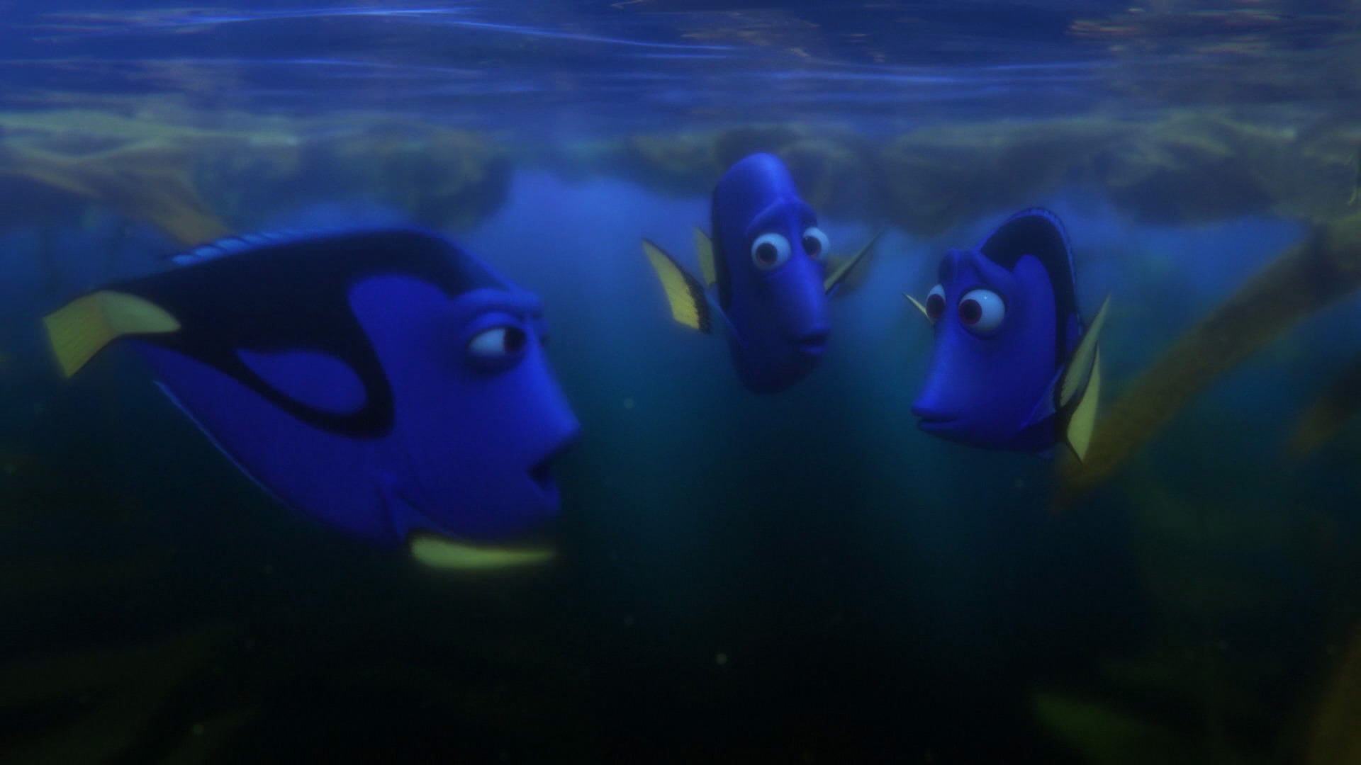 Finding Dory (2016) - Animation Screencaps.com