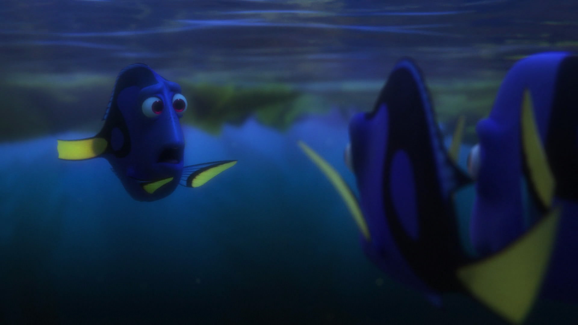 Finding Dory (2016) - Animation Screencaps.com