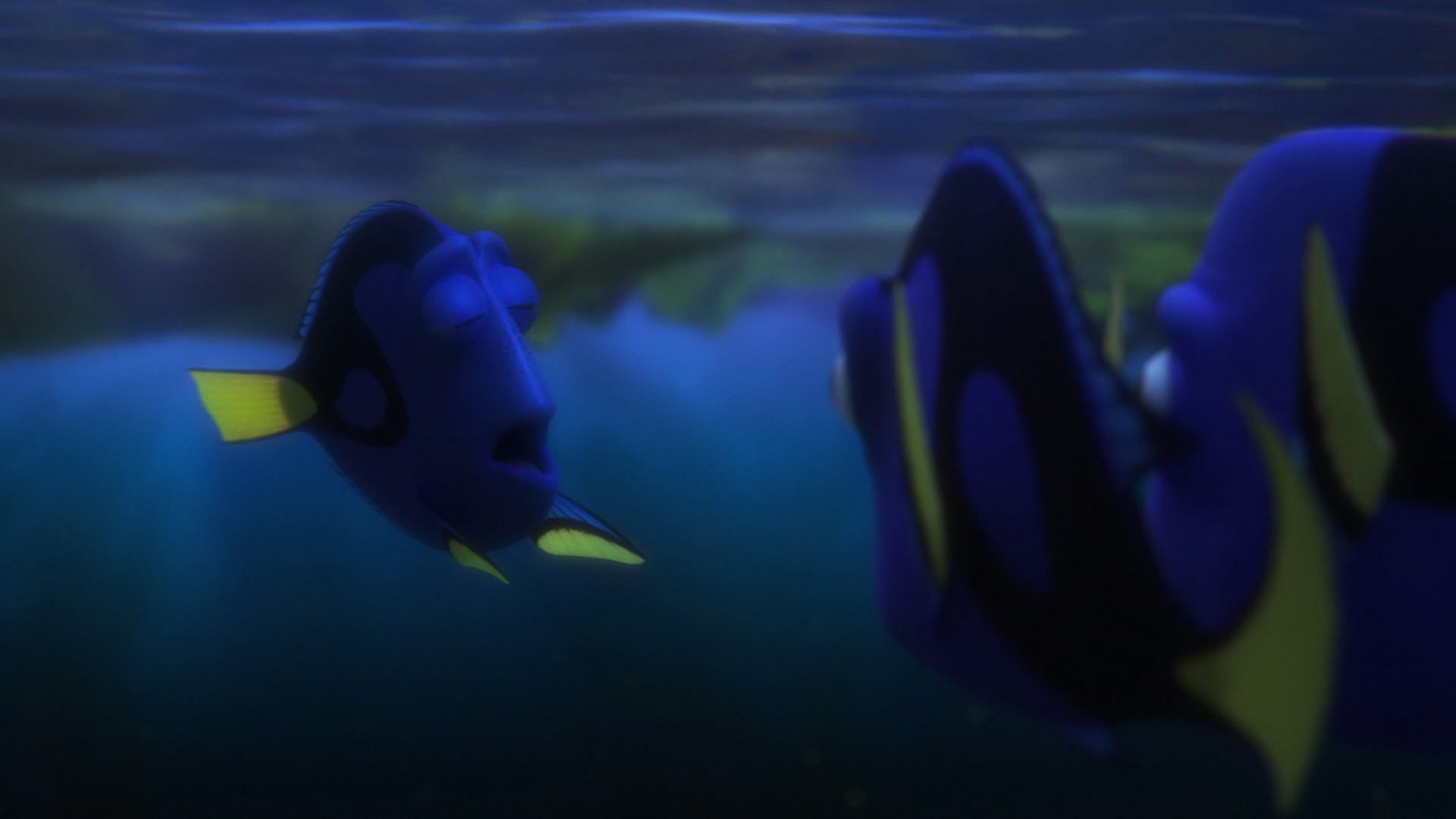 Finding Dory (2016) - Animation Screencaps.com