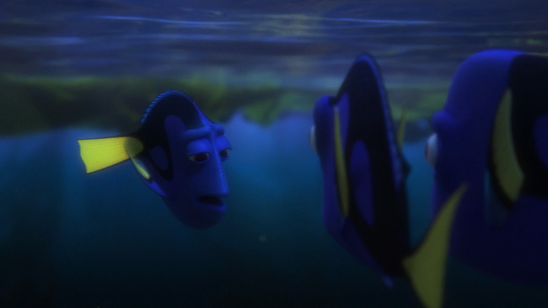 Finding Dory (2016) - Animation Screencaps.com