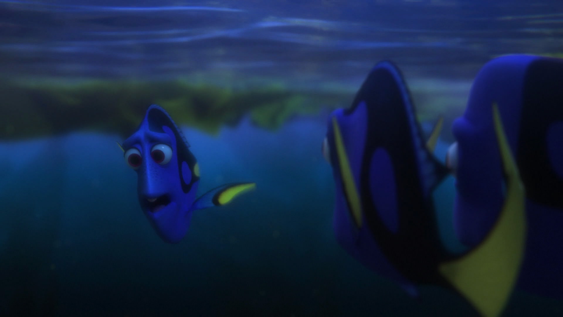 Finding Dory (2016) - Animation Screencaps.com