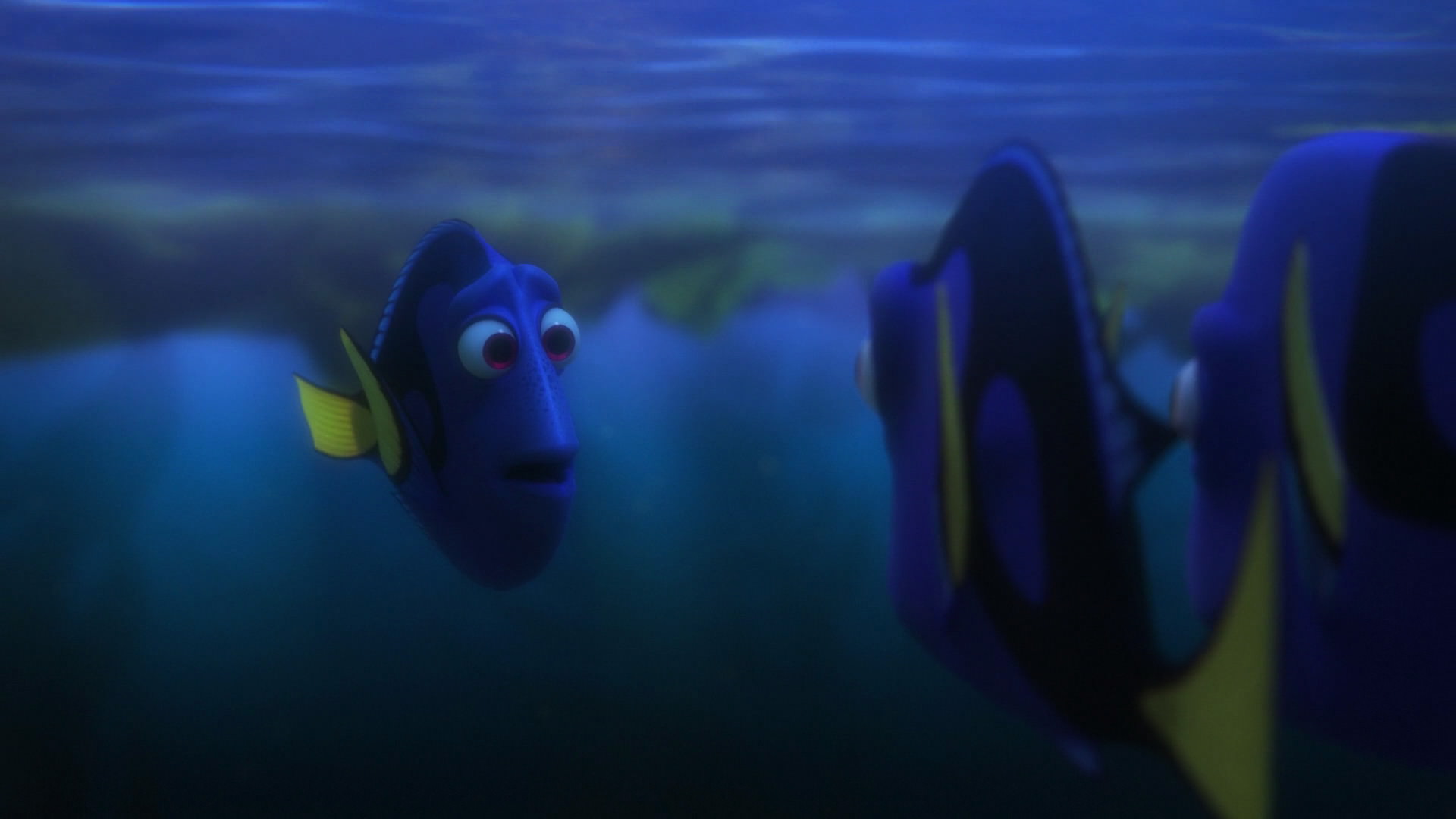 Finding Dory (2016) - Animation Screencaps.com