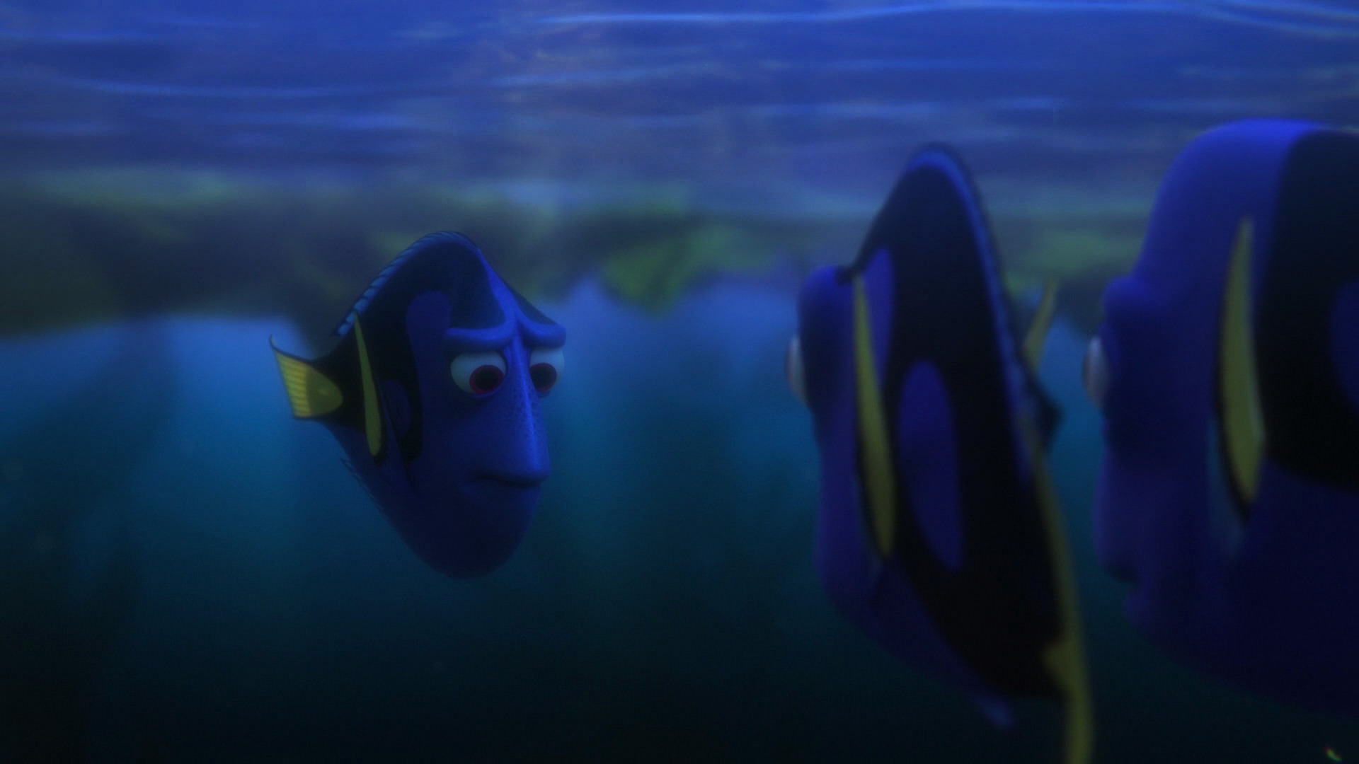 Finding Dory (2016) - Animation Screencaps.com