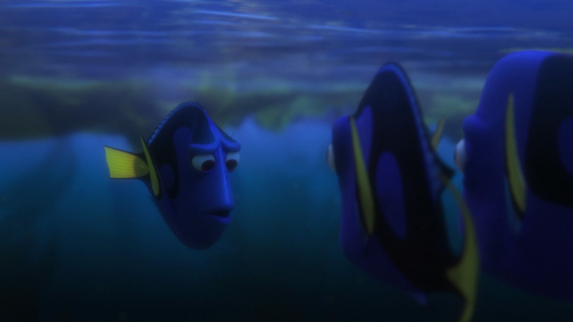Finding Dory (2016) - Animation Screencaps.com