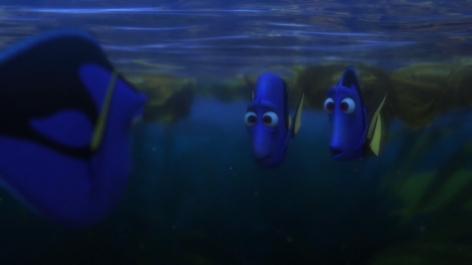 Finding Dory (2016) - Animation Screencaps.com