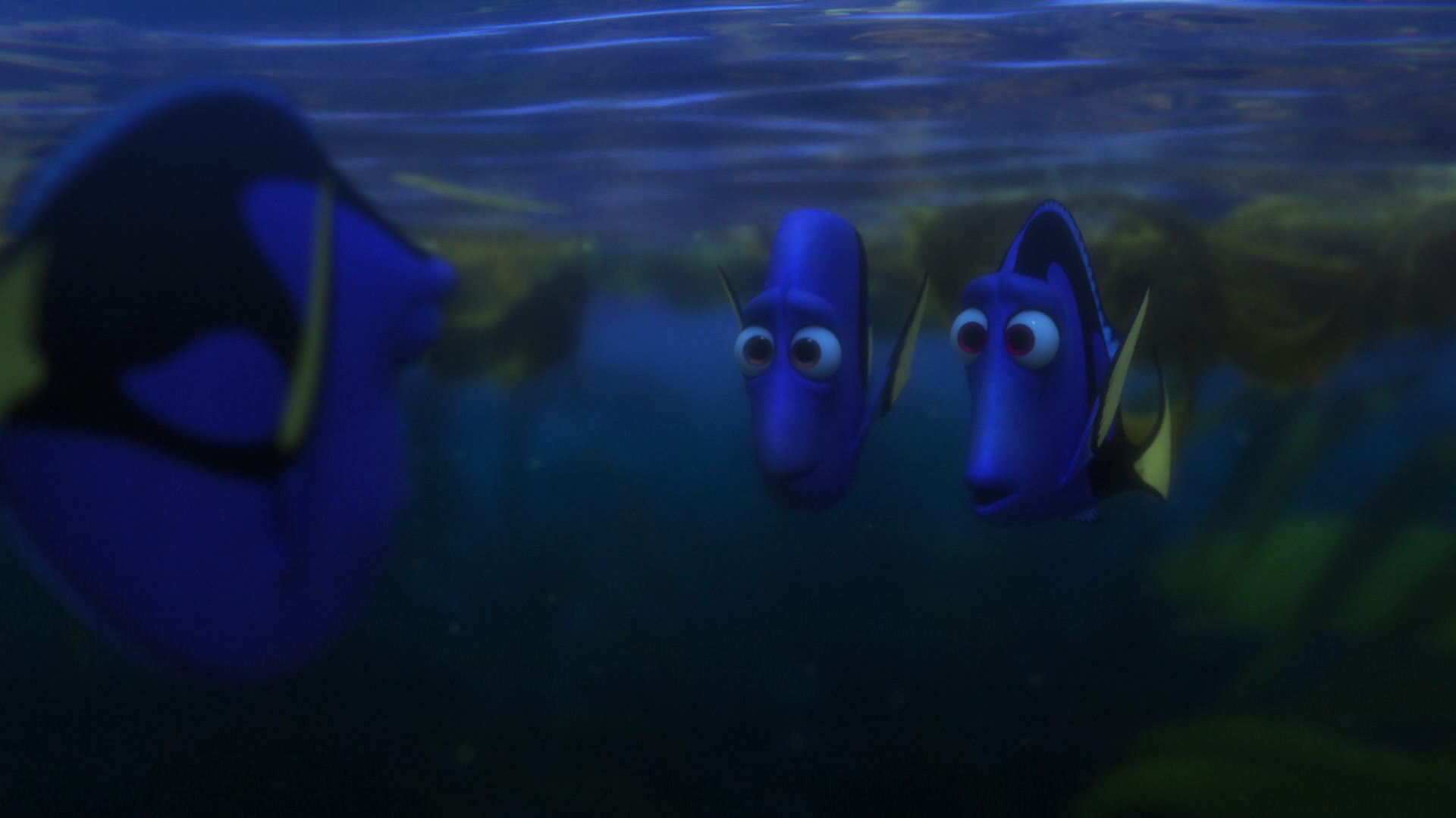 Finding Dory (2016) - Animation Screencaps.com