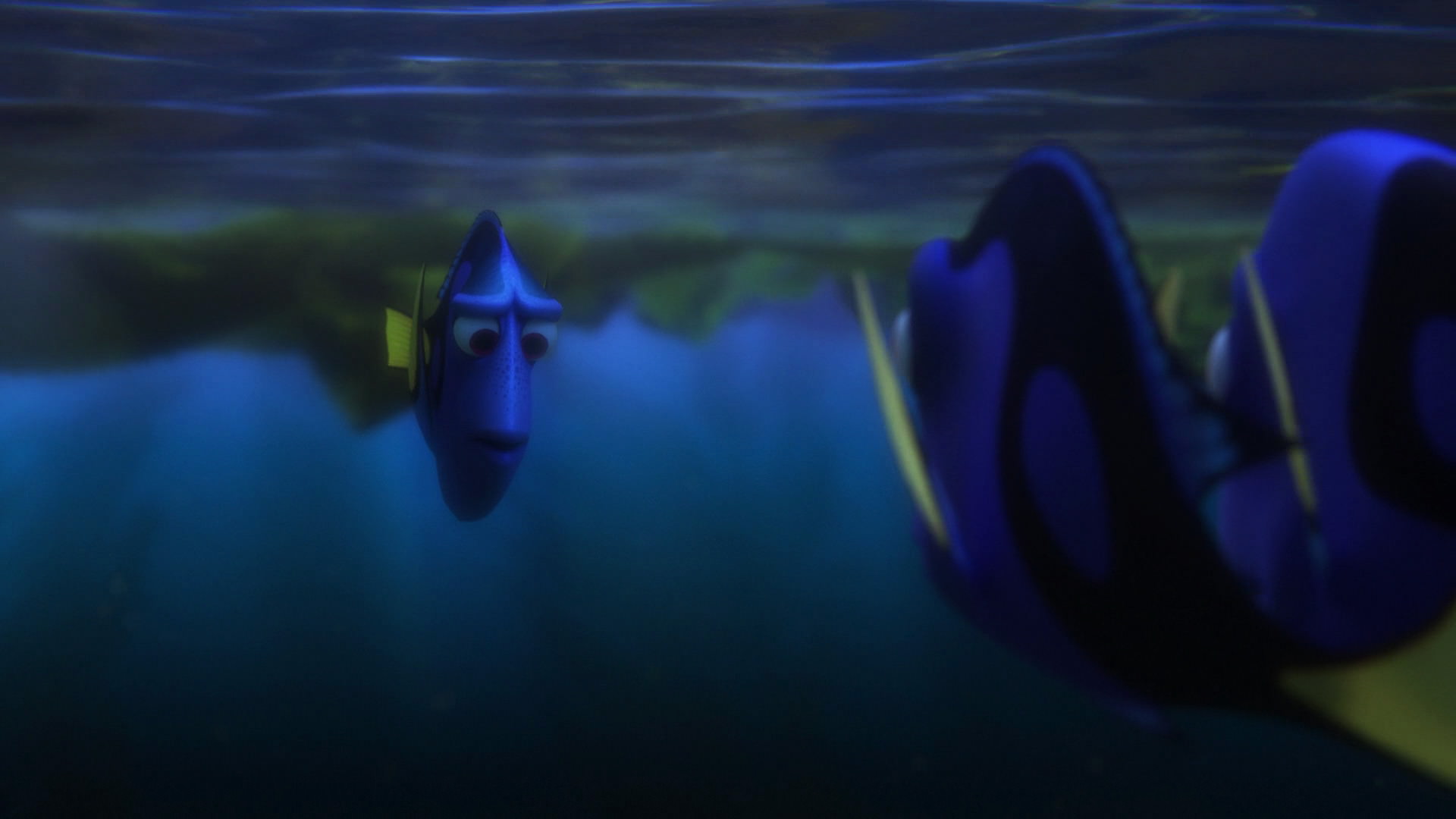 Finding Dory (2016) - Animation Screencaps.com