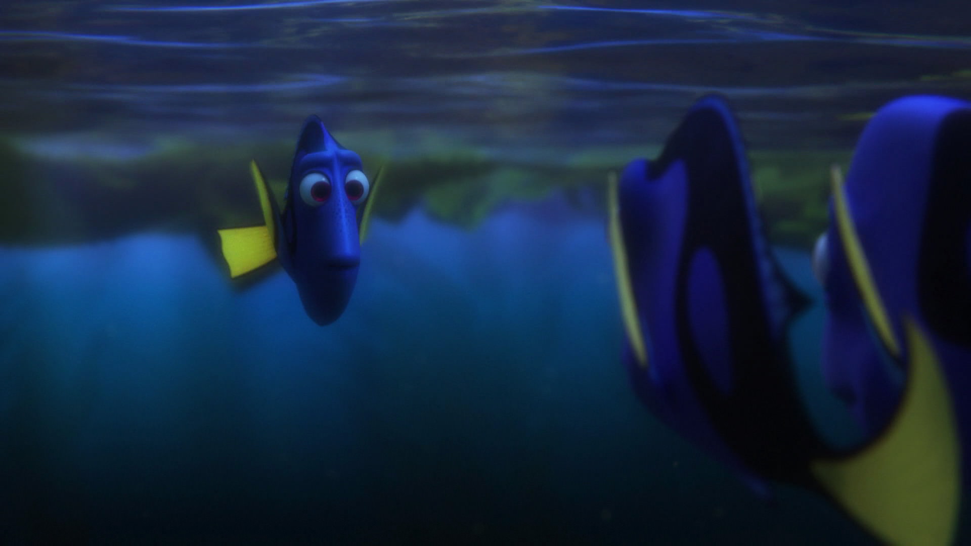 Finding Dory (2016) - Animation Screencaps.com