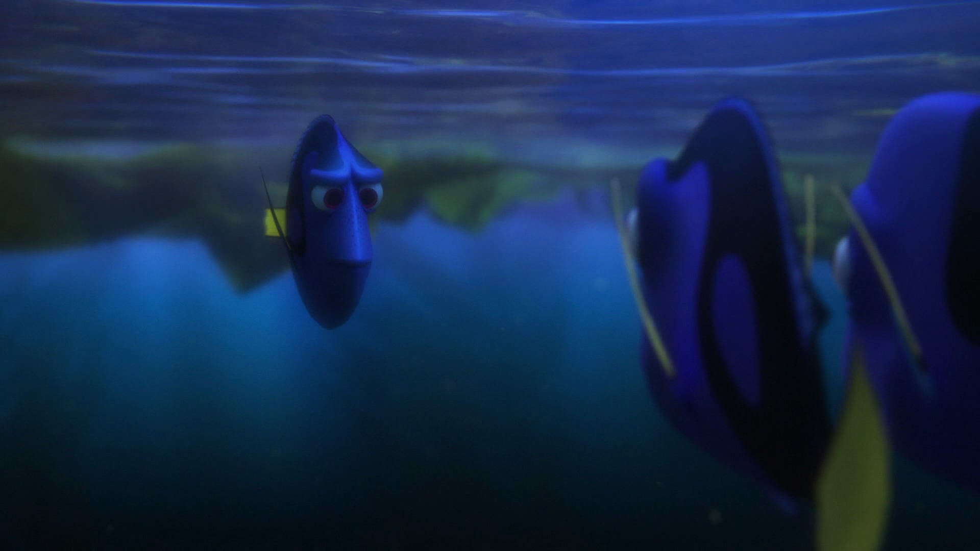 Finding Dory (2016) - Animation Screencaps.com