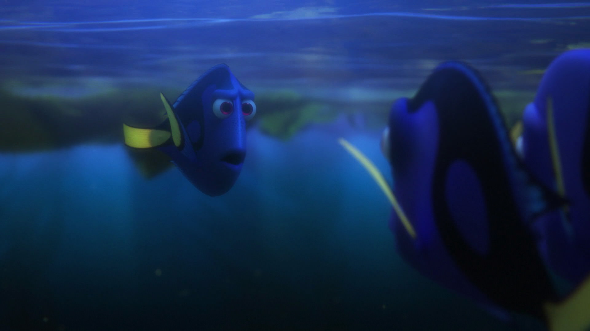 Finding Dory (2016) - Animation Screencaps.com
