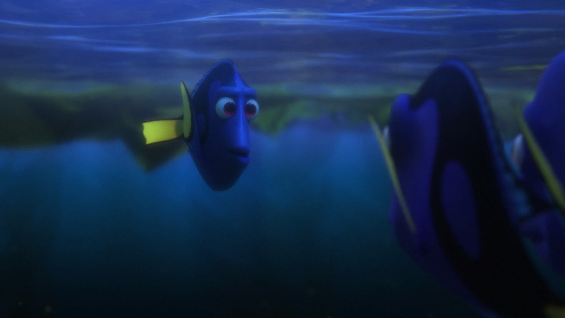 Finding Dory (2016) - Animation Screencaps.com