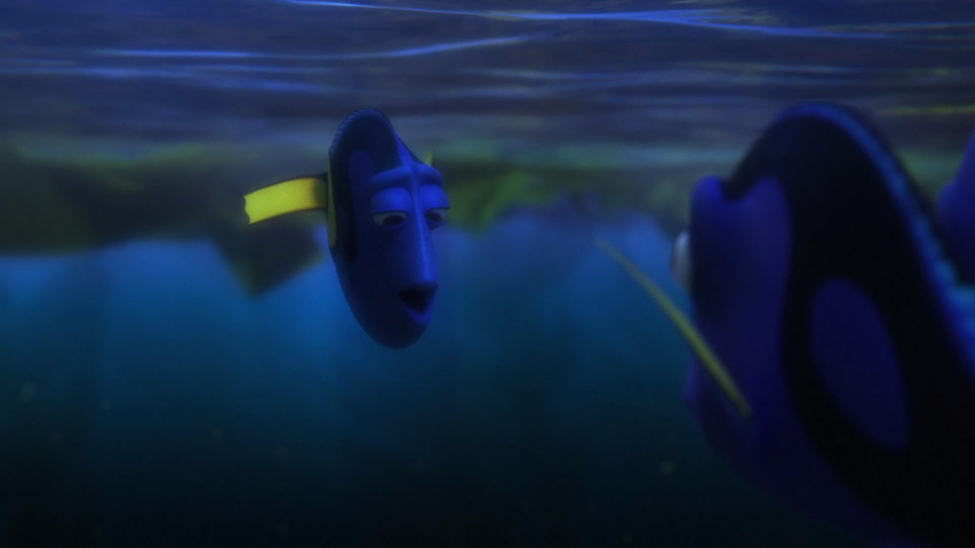 Finding Dory (2016) - Animation Screencaps.com