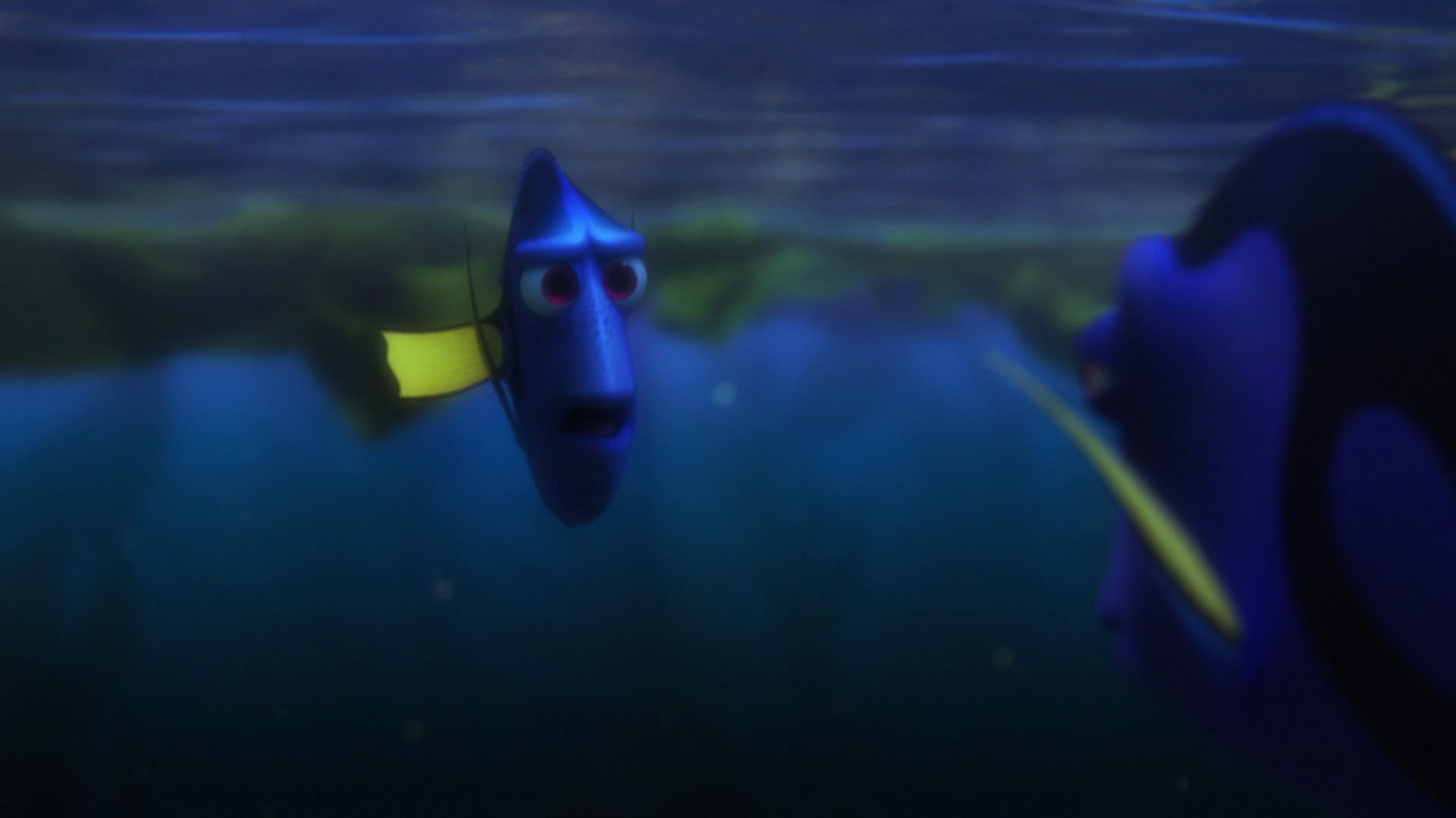 Finding Dory (2016) - Animation Screencaps.com