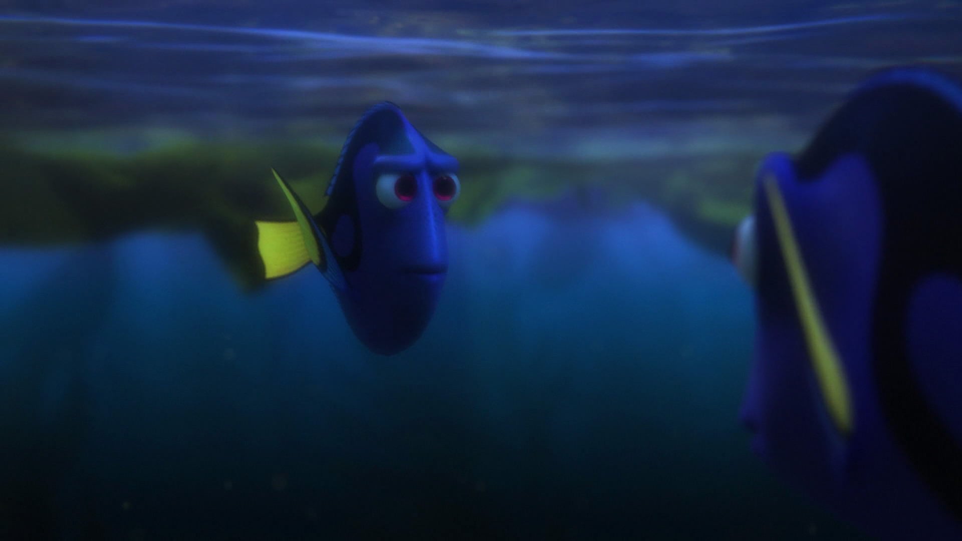 Finding Dory (2016) - Animation Screencaps.com