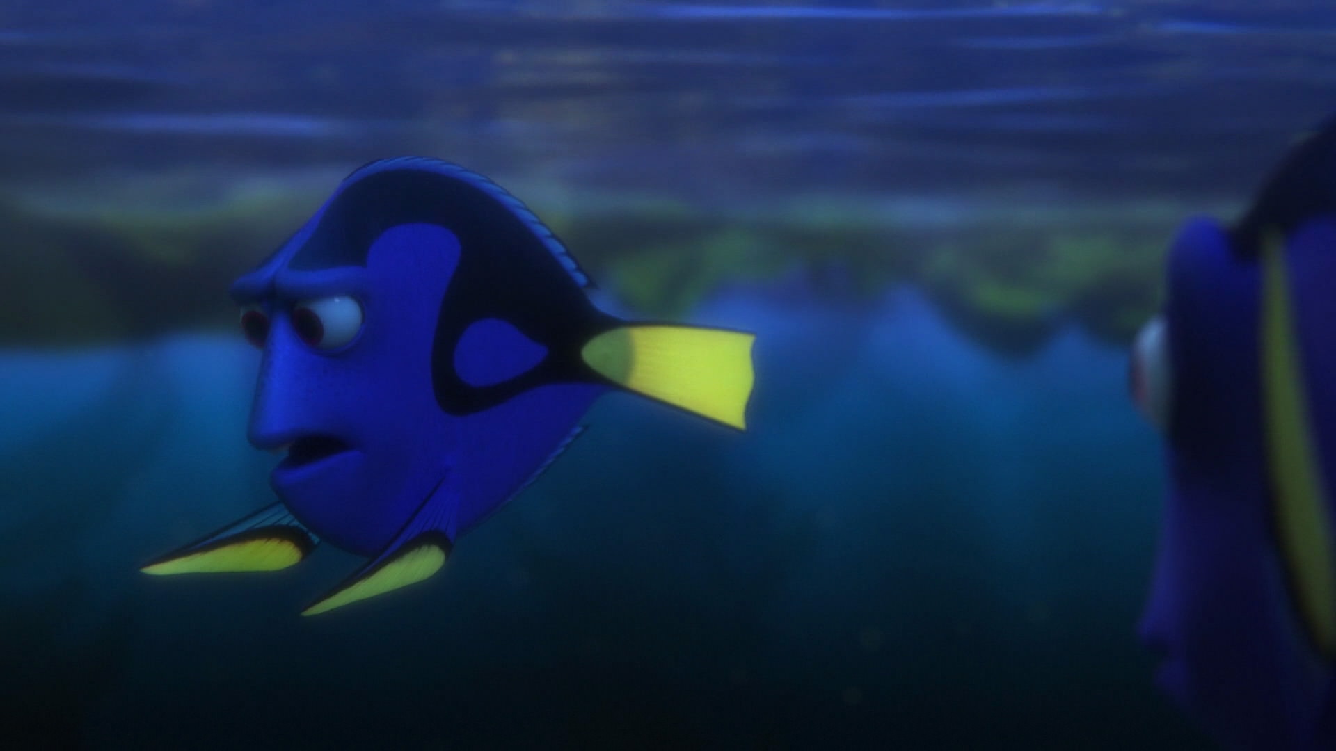 Finding Dory (2016) - Animation Screencaps.com