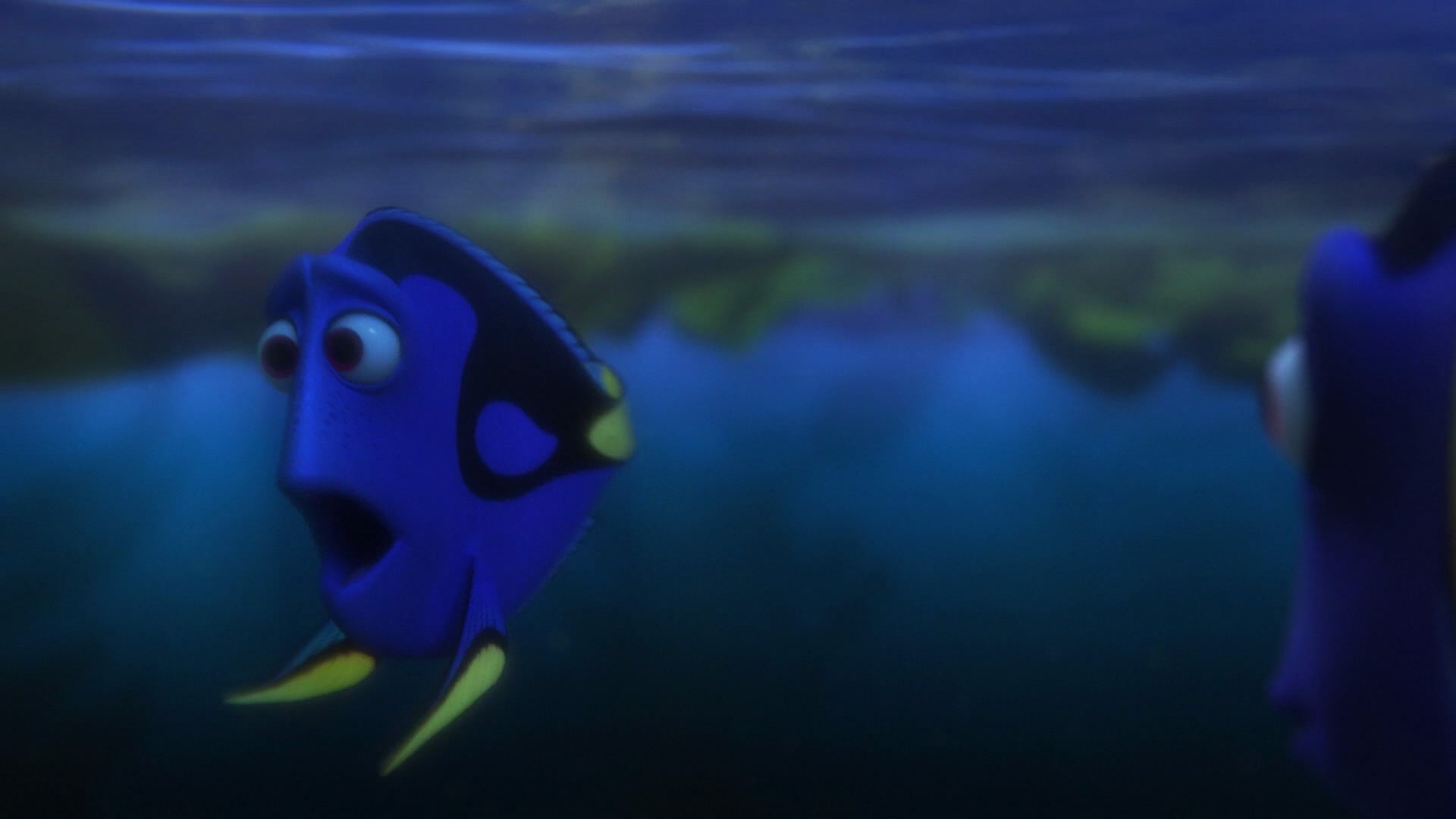 Finding Dory (2016) - Animation Screencaps.com