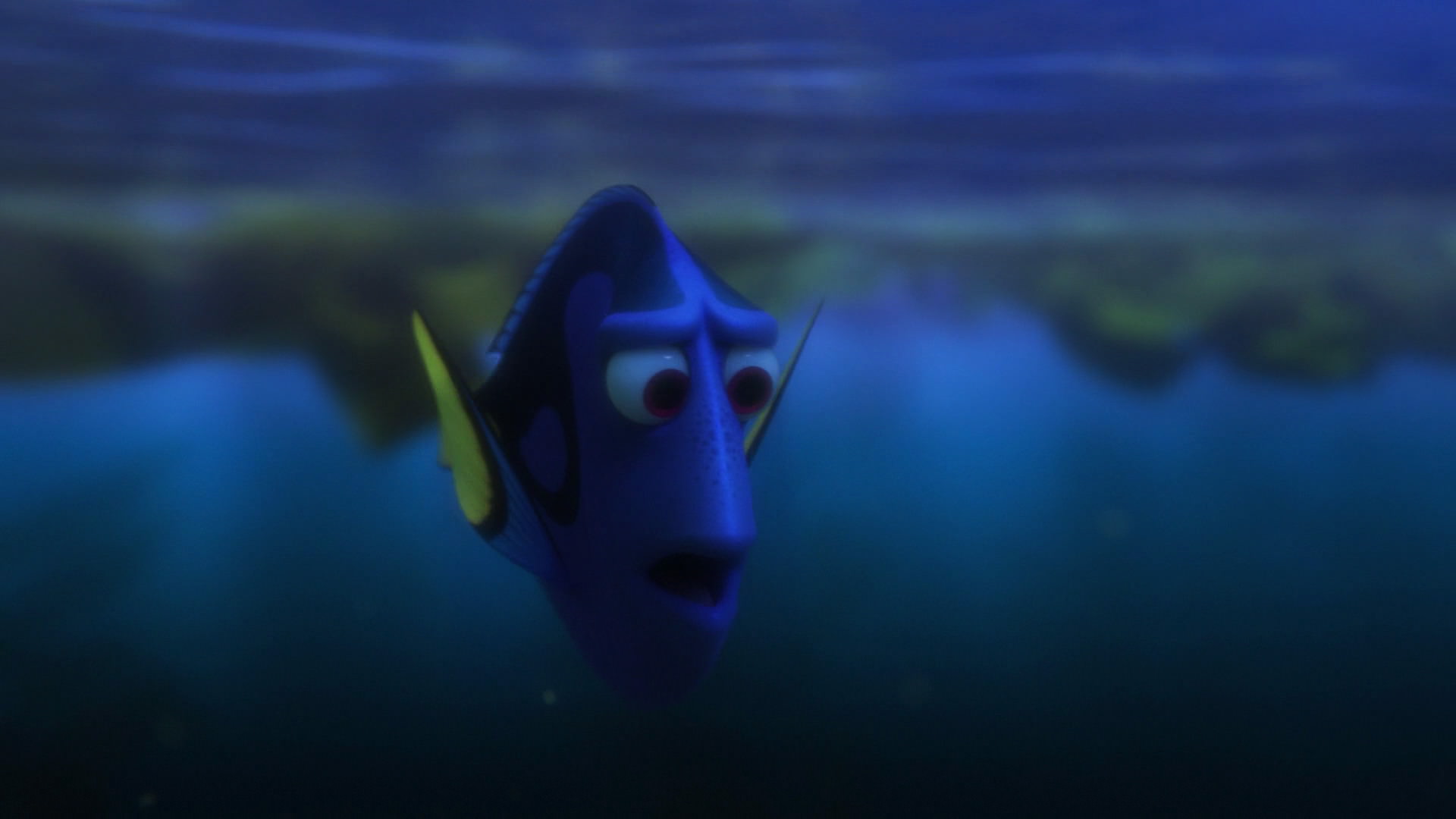 Finding Dory (2016) - Animation Screencaps.com