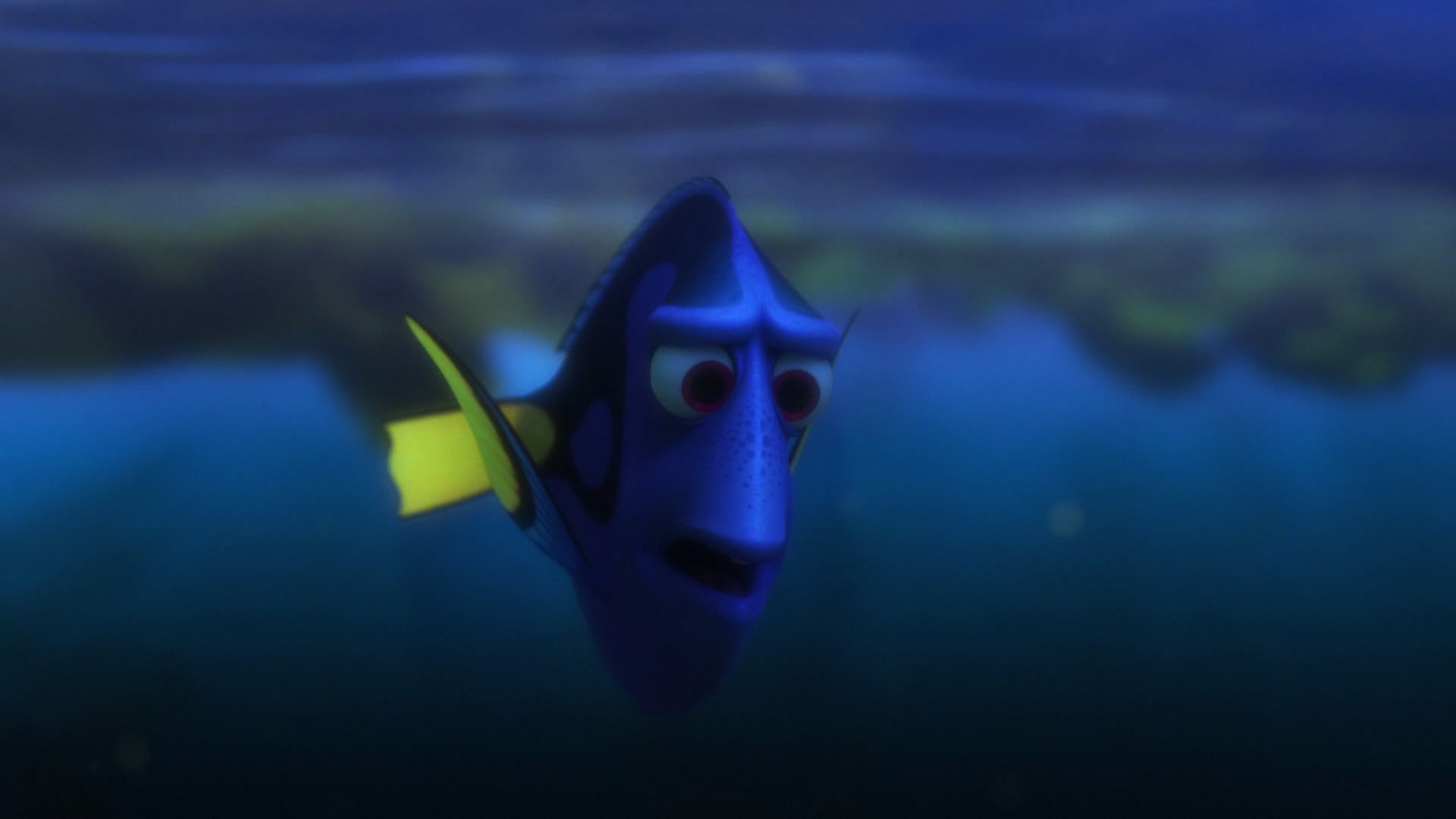 Finding Dory (2016) - Animation Screencaps.com