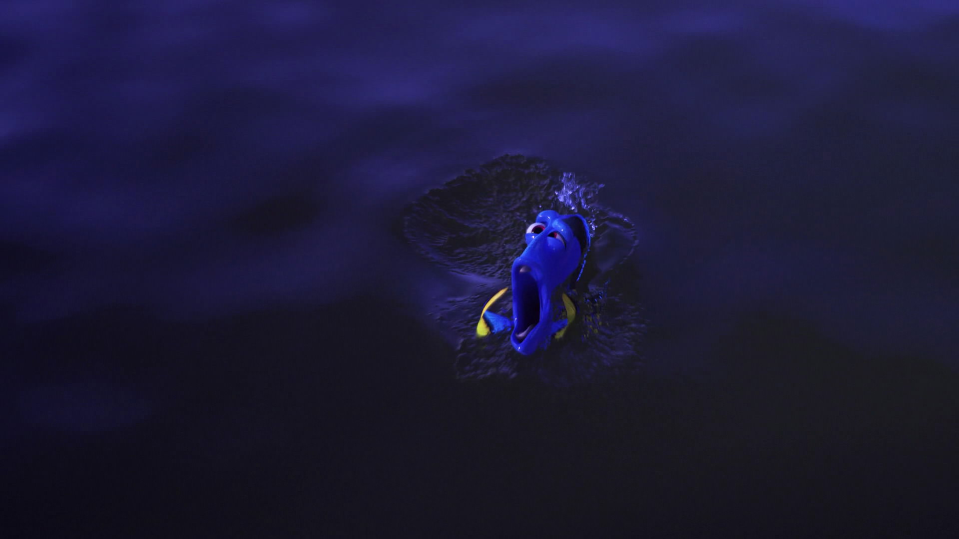 Finding Dory (2016) - Animation Screencaps.com