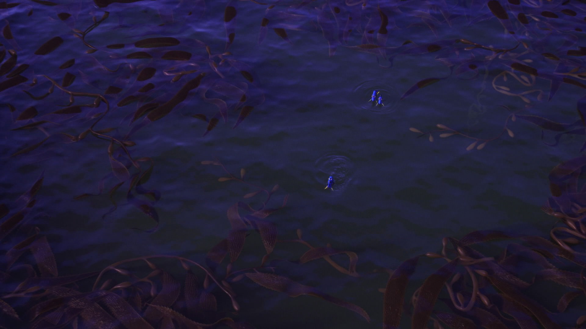 Finding Dory (2016) - Animation Screencaps.com