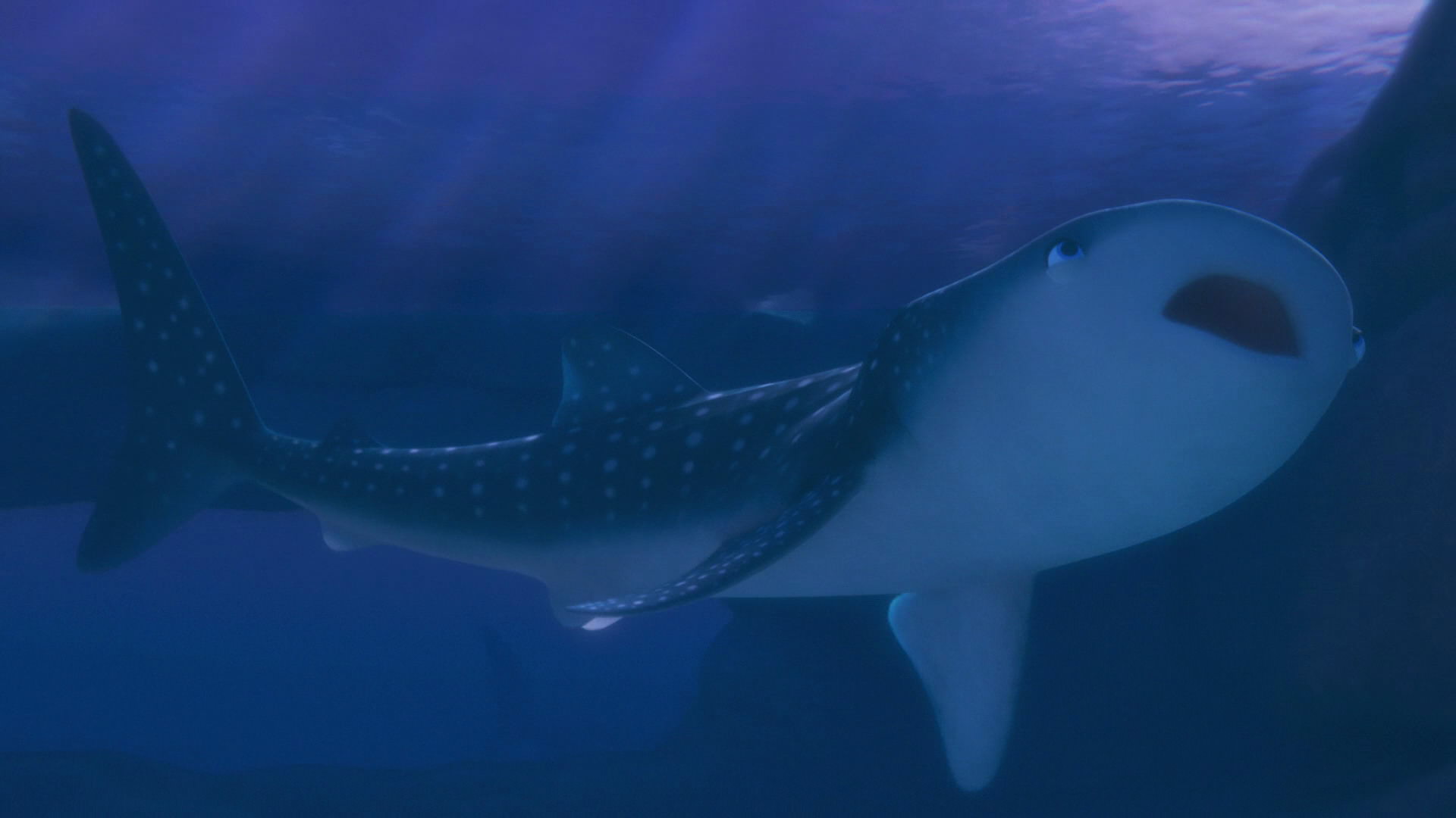 Finding Dory (2016) - Animation Screencaps.com