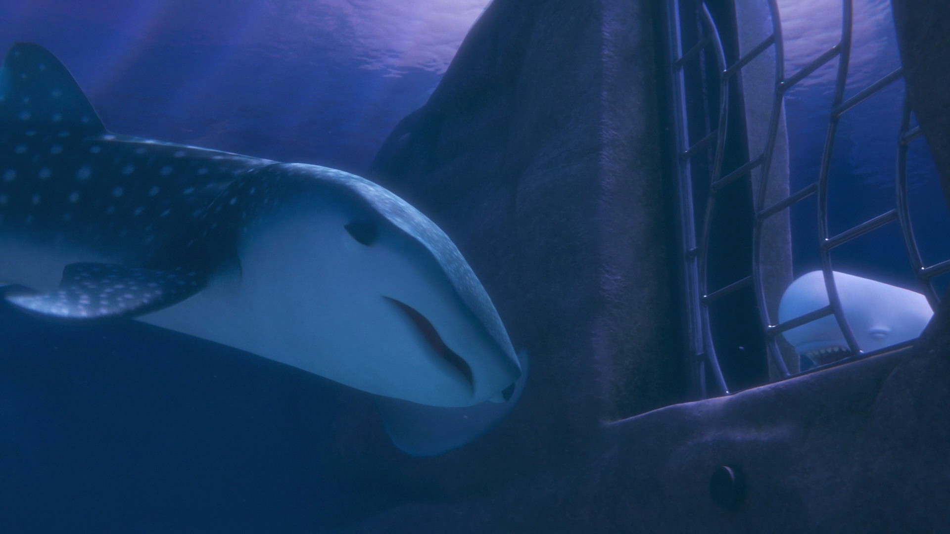 Finding Dory (2016) - Animation Screencaps.com