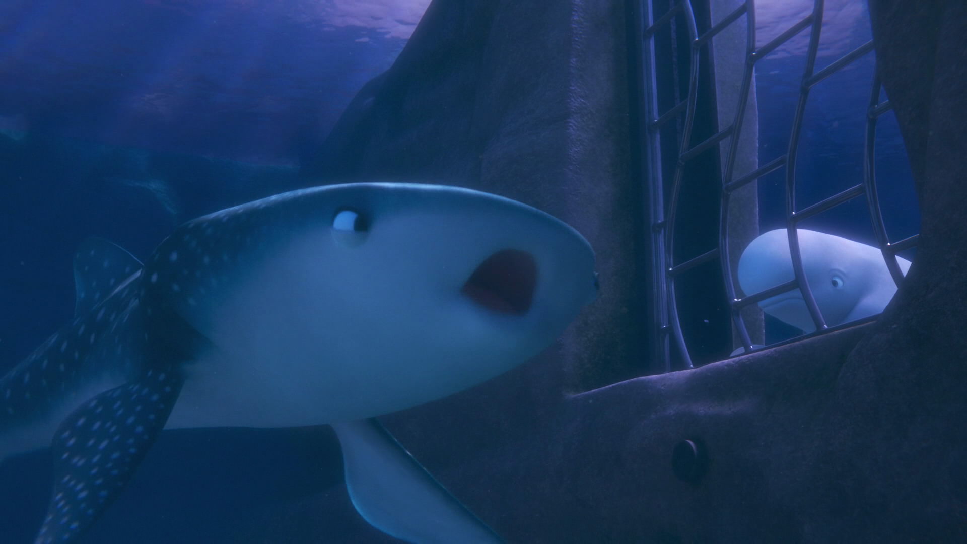 Finding Dory (2016) - Animation Screencaps.com