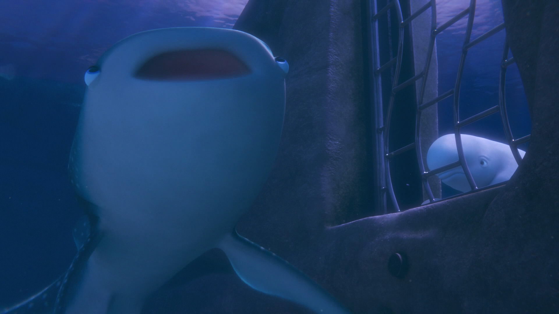 Finding Dory (2016) - Animation Screencaps.com