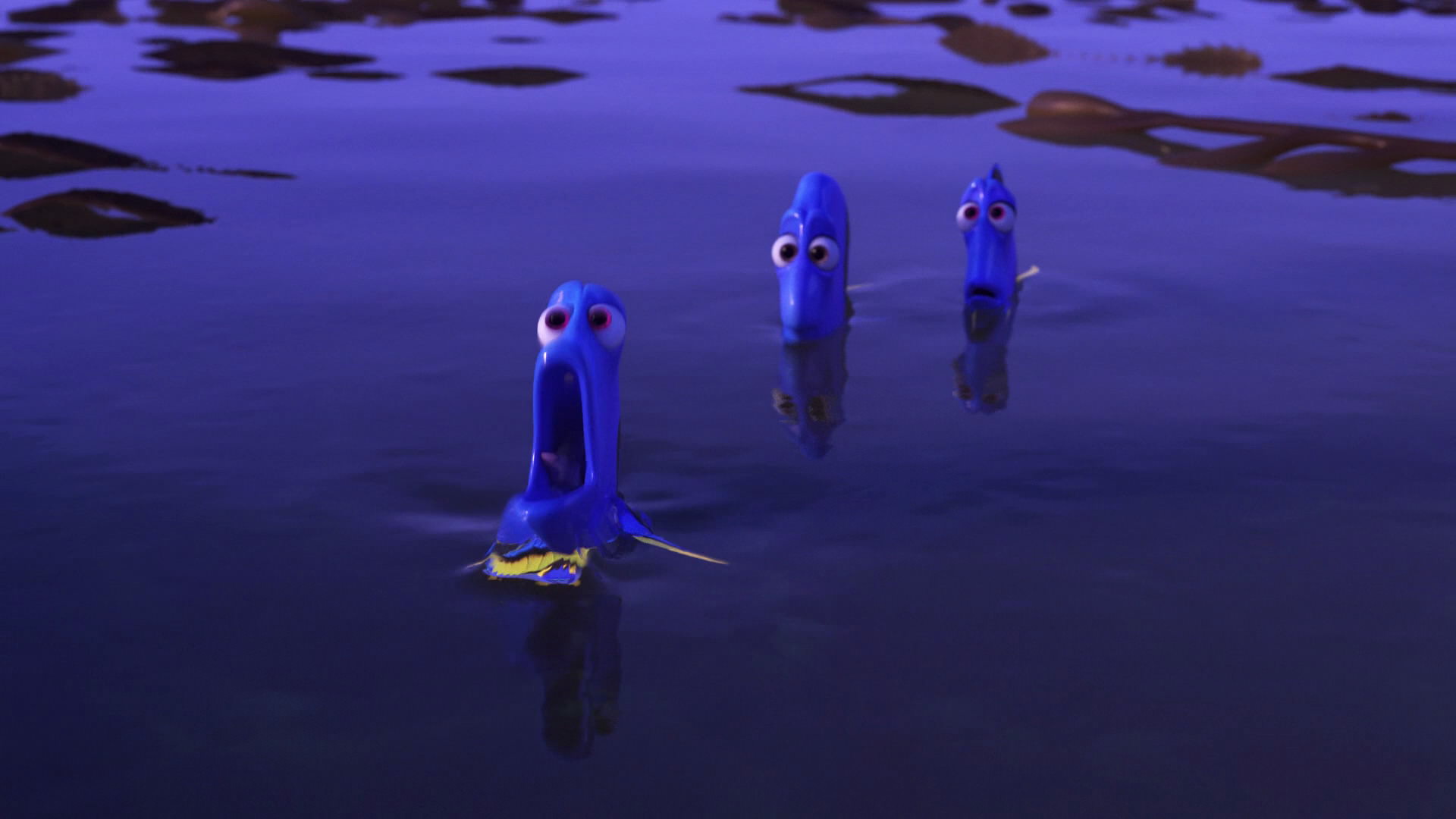 Finding Dory (2016) - Animation Screencaps.com