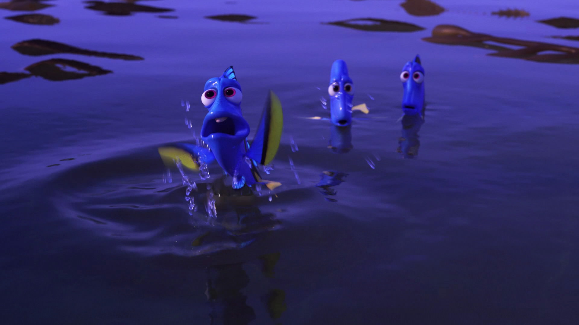 Finding Dory (2016) - Animation Screencaps.com