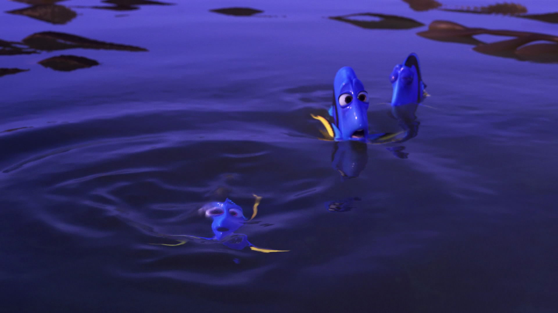 Finding Dory (2016) - Animation Screencaps.com